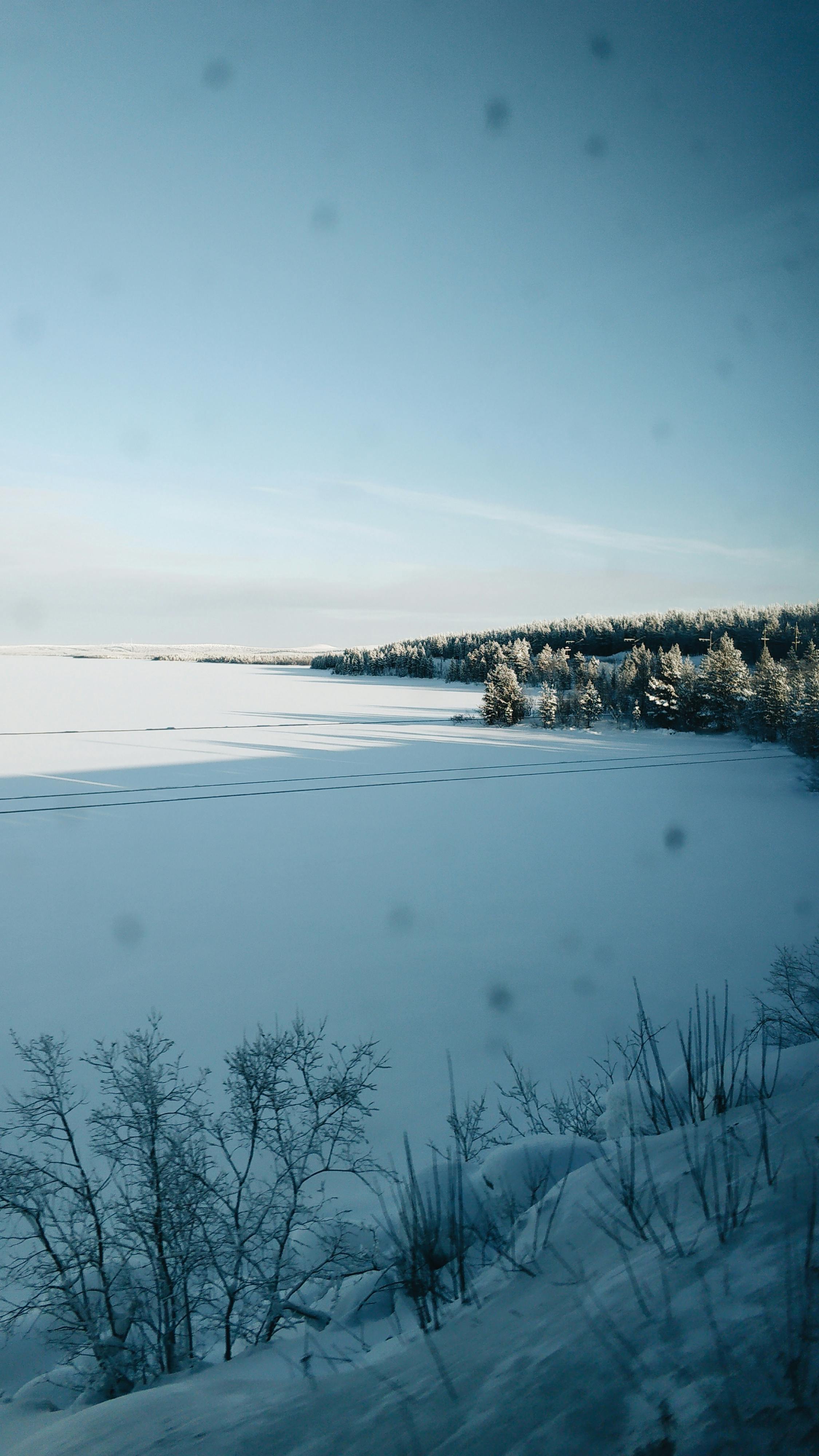 Scum Cover Lake Photos, Download The BEST Free Scum Cover Lake Stock ...