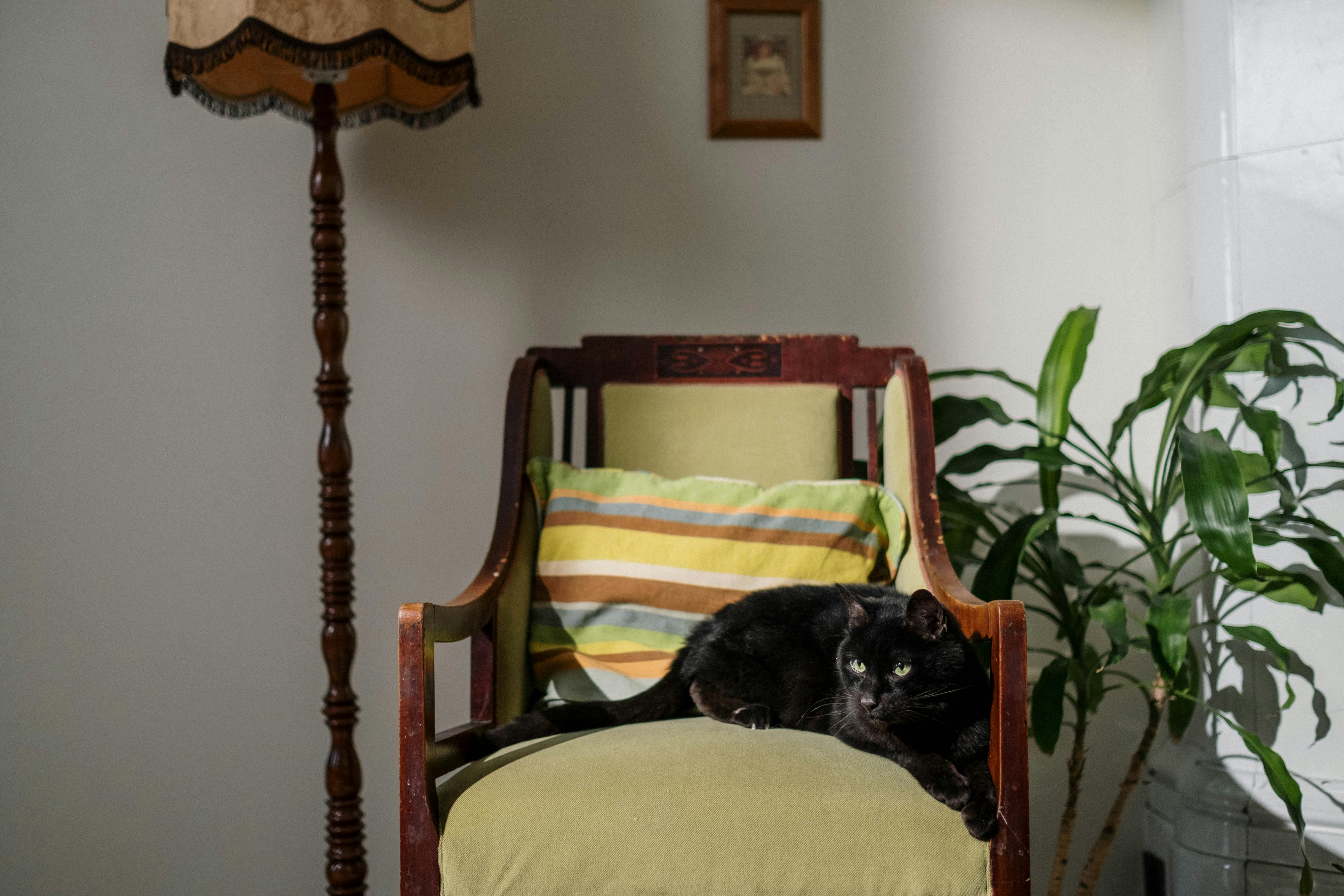 Study Room with Desk · Free Stock Photo