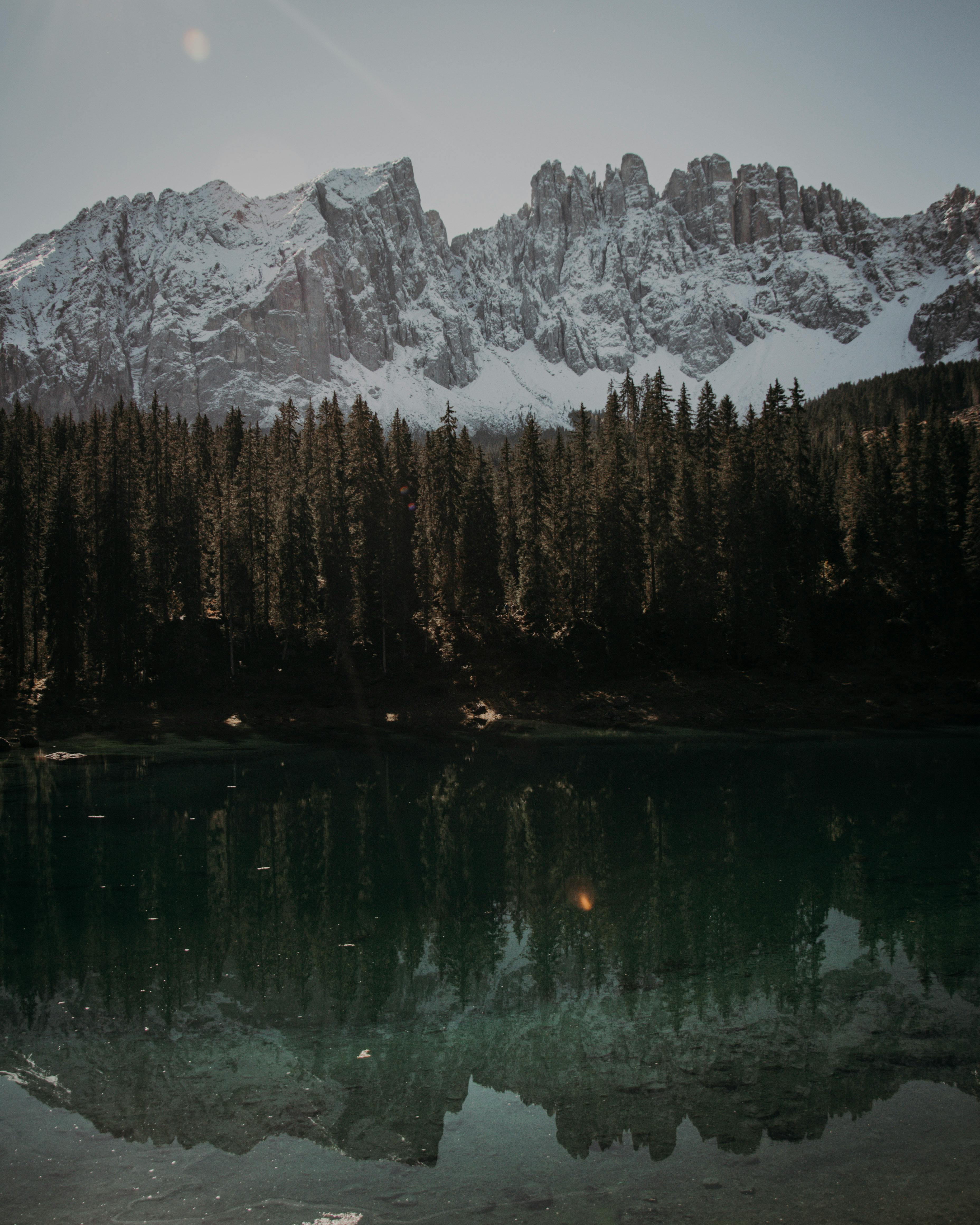 Spruce Lake Photos, Download The BEST Free Spruce Lake Stock Photos ...