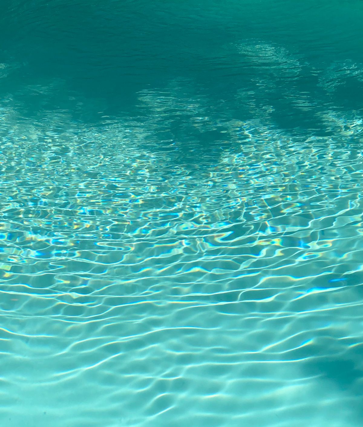 Turquoise Photos, Download The BEST Free Turquoise Stock Photos & HD Images