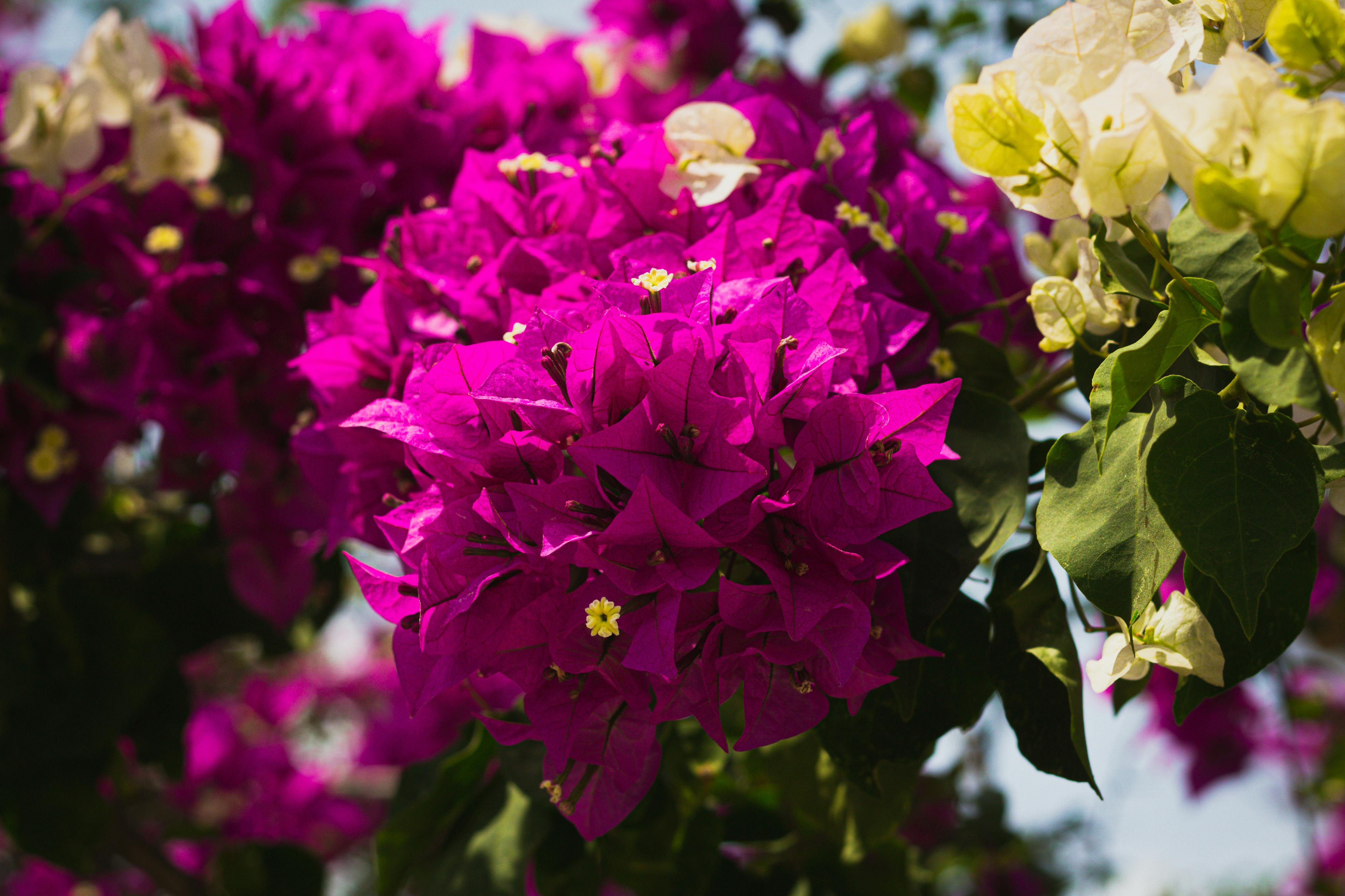 Green 3 Photos & Videos Collected by Anderson Fernandes