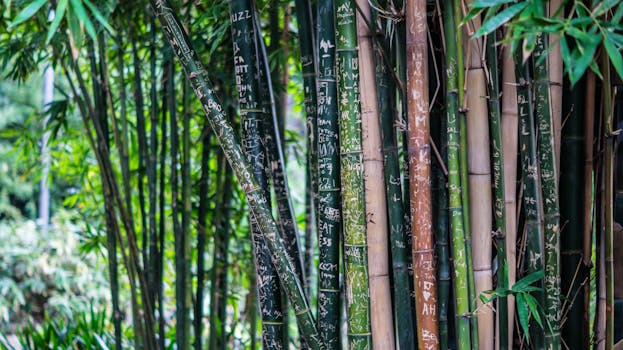 1000+ Beautiful Bamboo Trees Photos · Pexels · Free Stock Photos