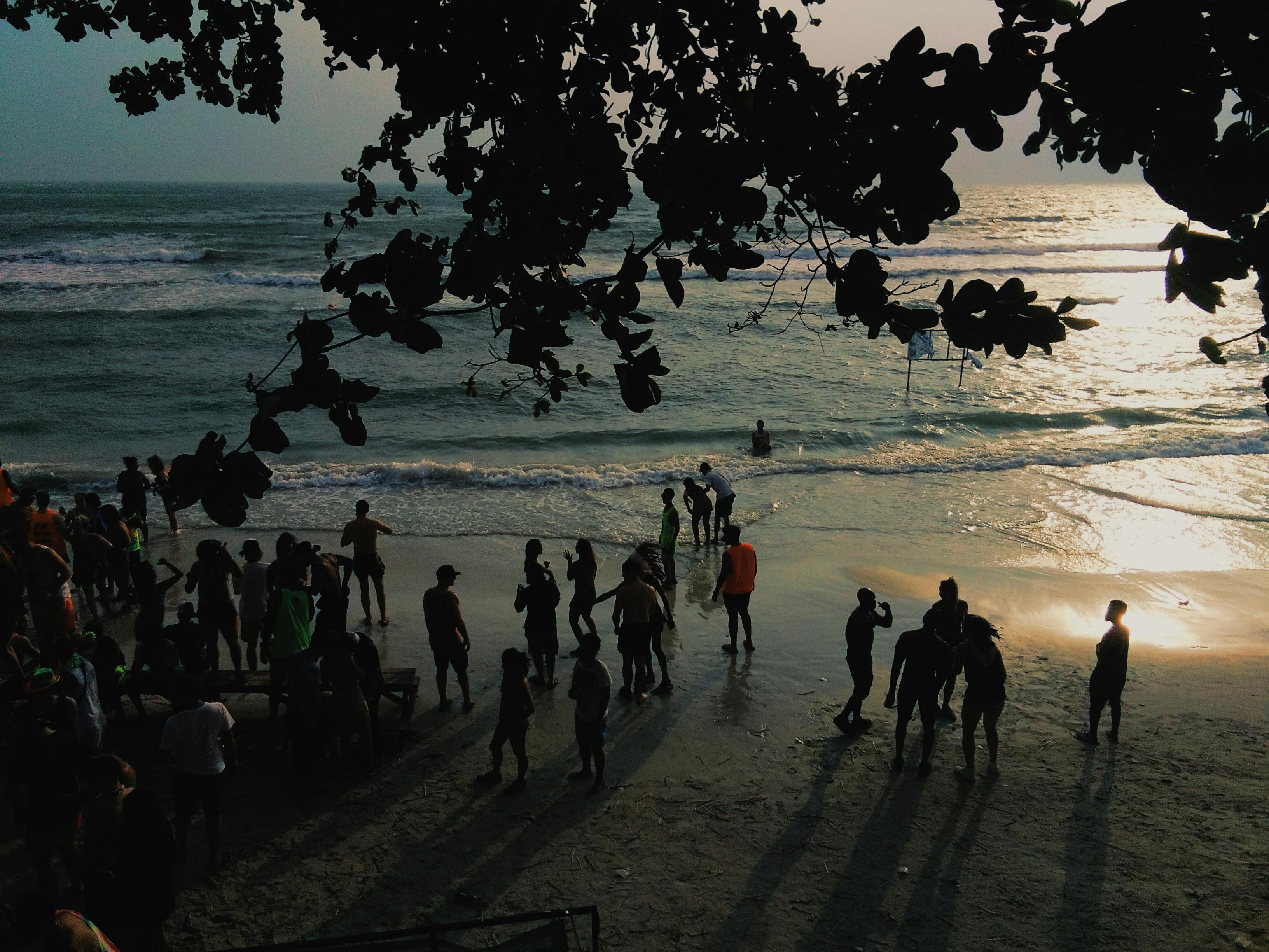 Free stock photo of beach, fun, nature