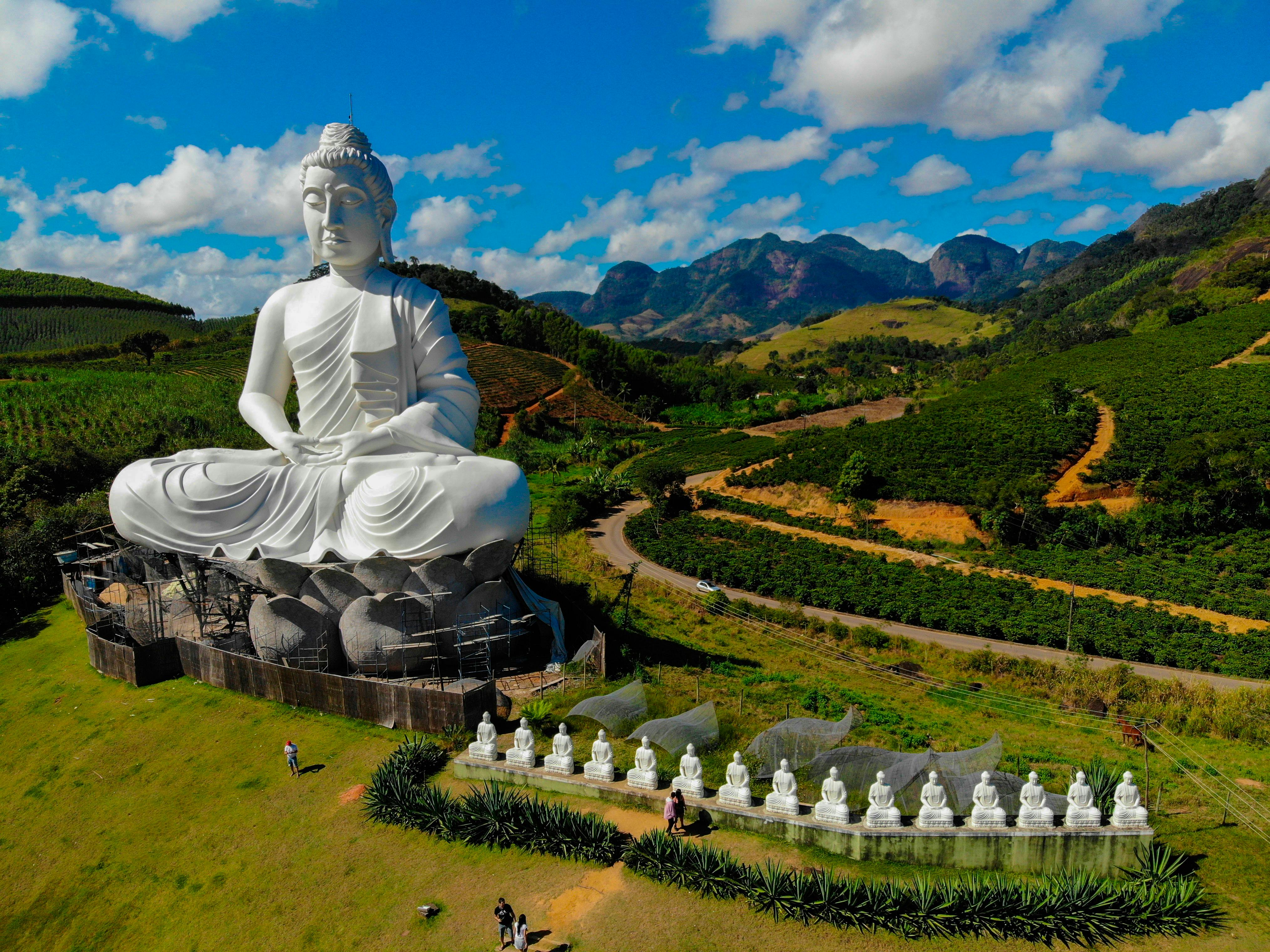 Giant Statue of Buddha on a Mountain · Free Stock Photo