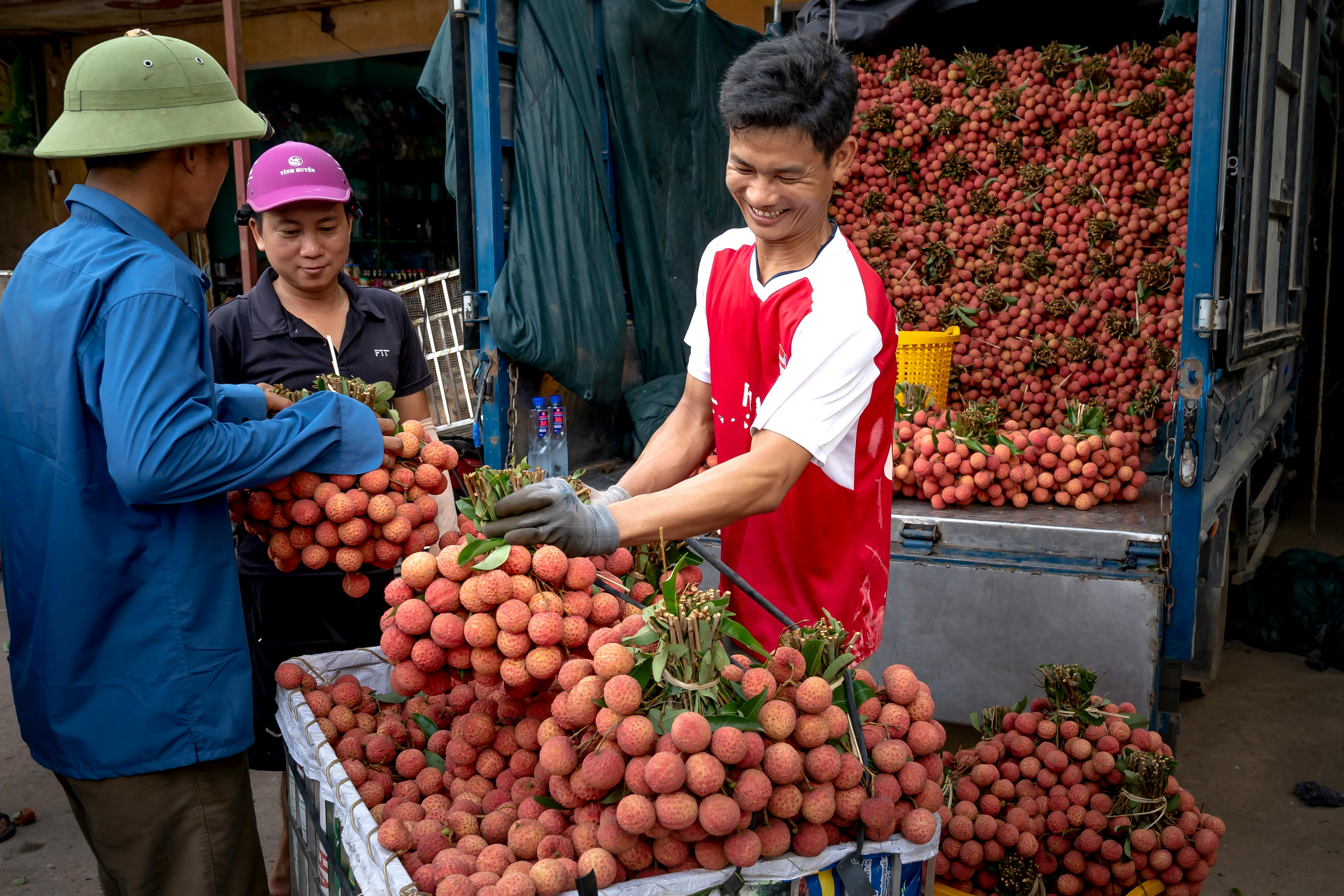 Photograph of a Lychee Vendor · Free Stock Photo