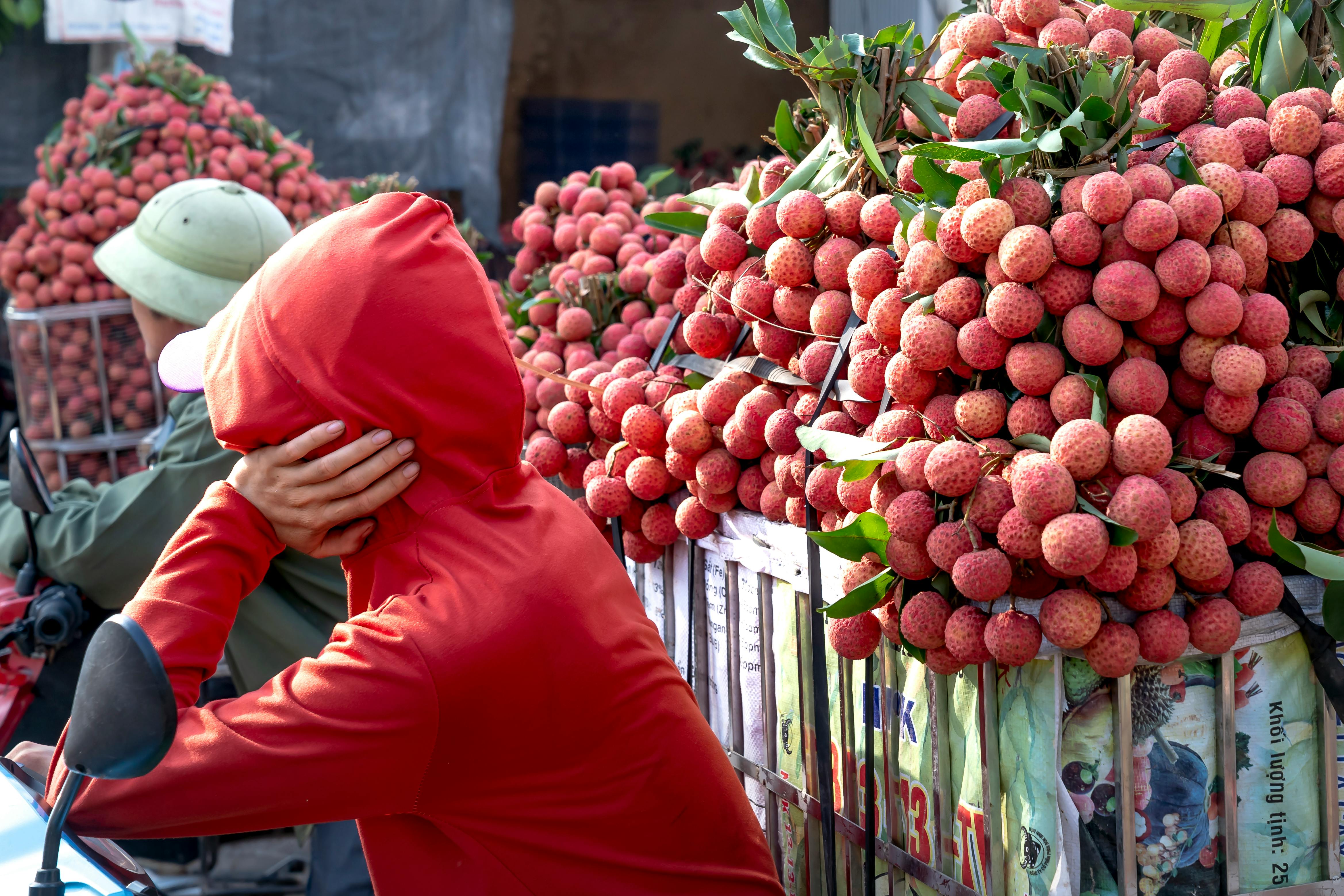 Two People Riding in Motorcycles Waiting Beside Wooden Crates of Lychee ...
