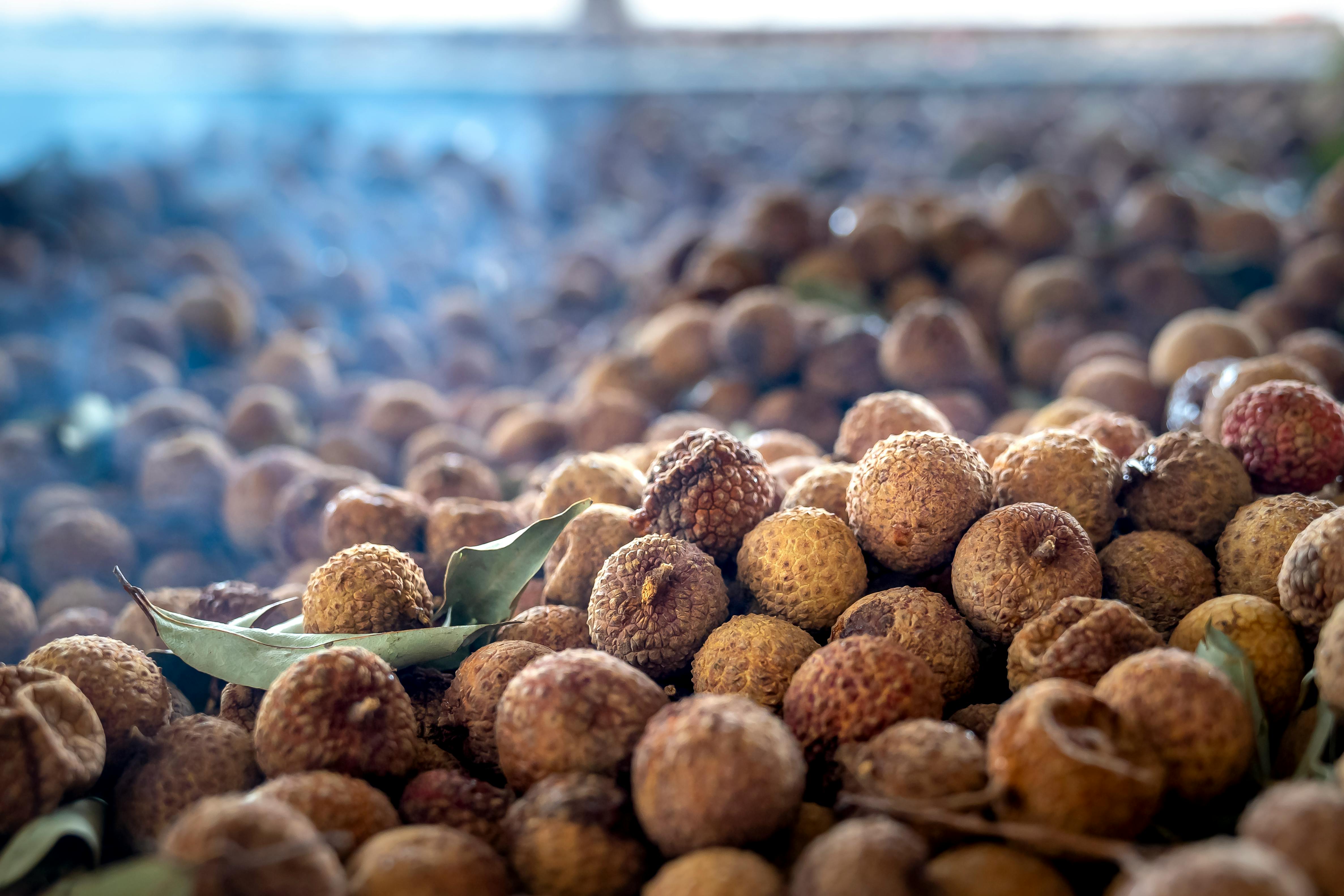 Longan Photos, Download The BEST Free Longan Stock Photos & HD Images