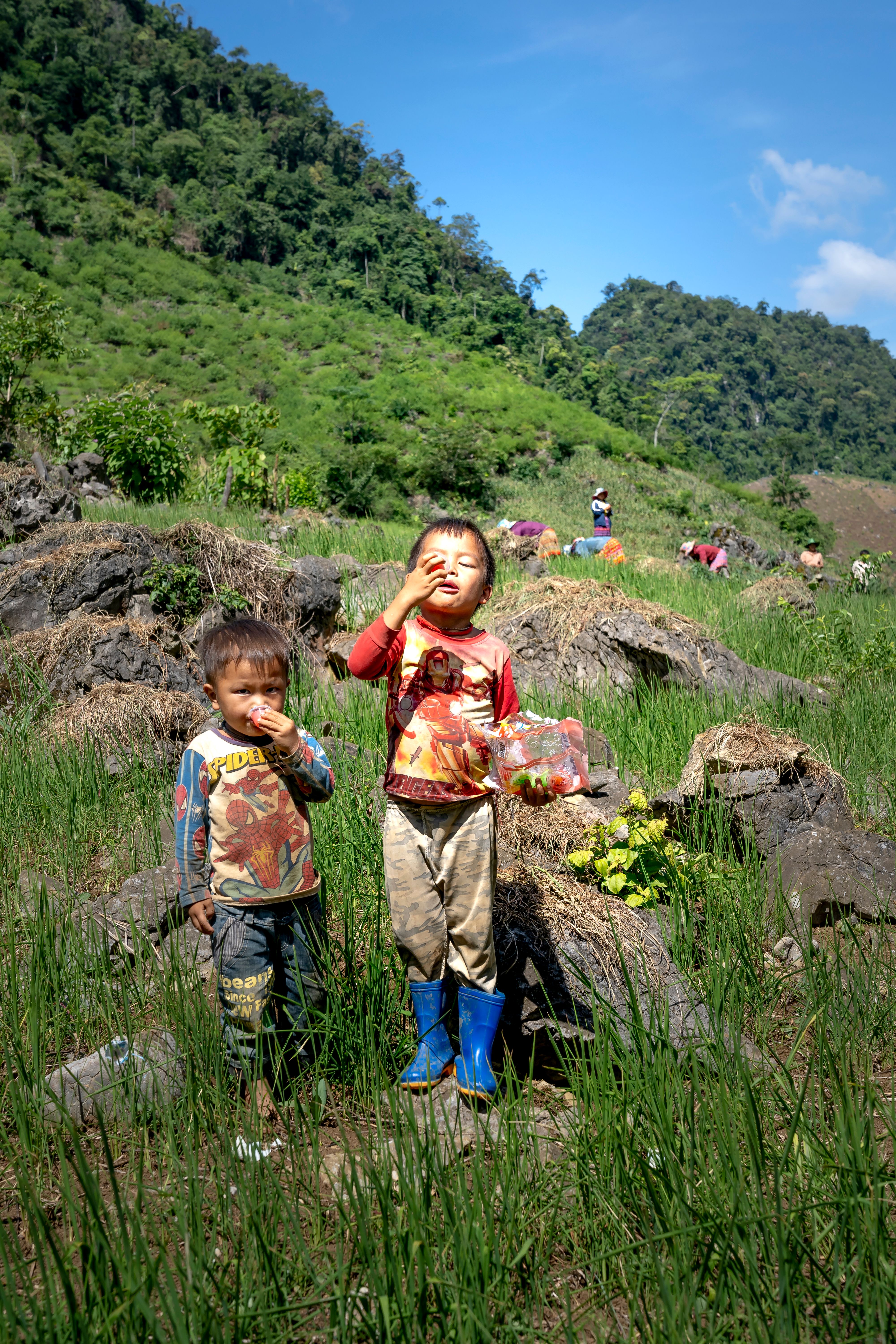 Boys in the Farm Field · Free Stock Photo