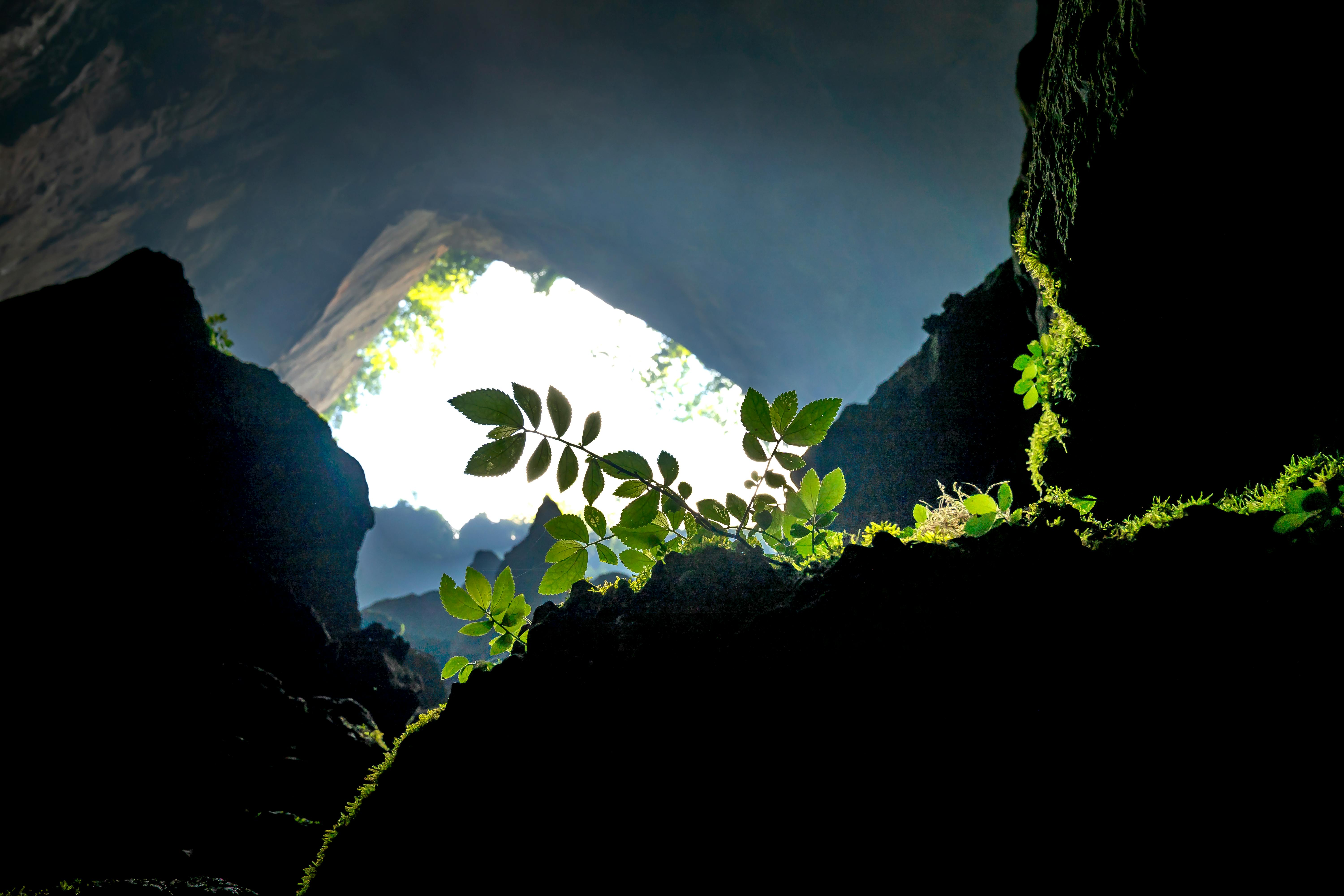 Photo Of Person Inside Cave · Free Stock Photo