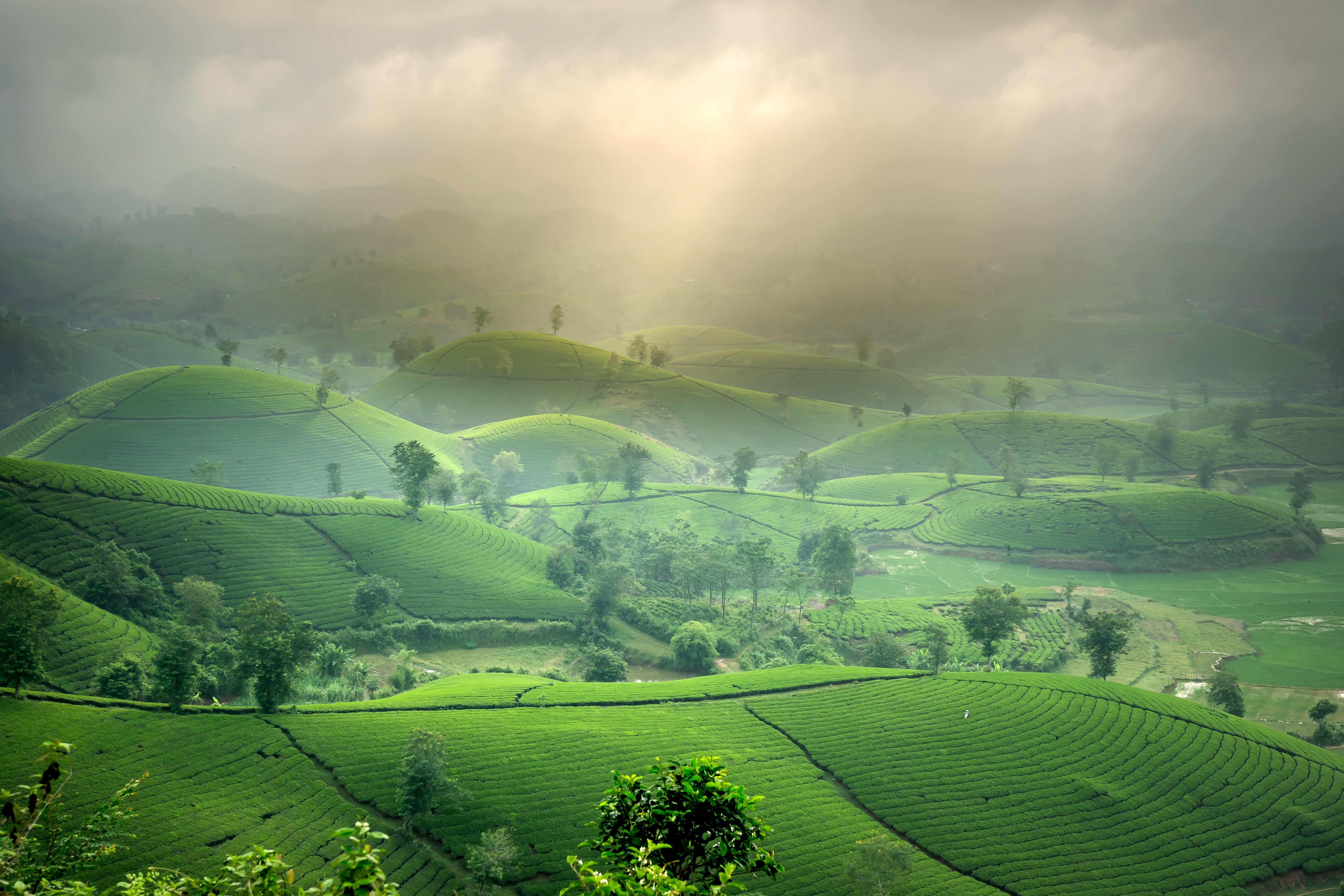 Sunlight Falling on the Fields Through the Fog · Free Stock Photo