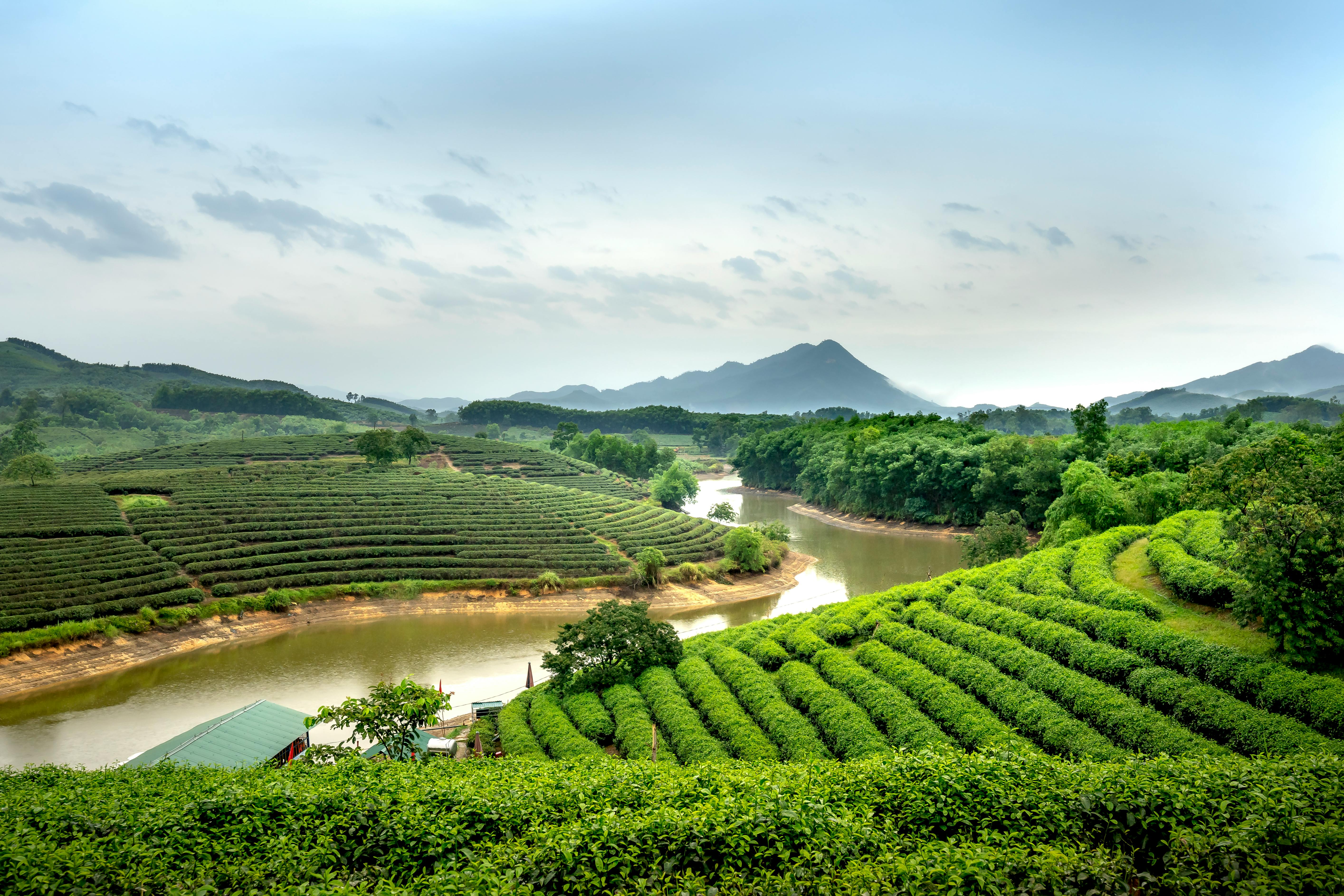 River Running Through Hills · Free Stock Photo