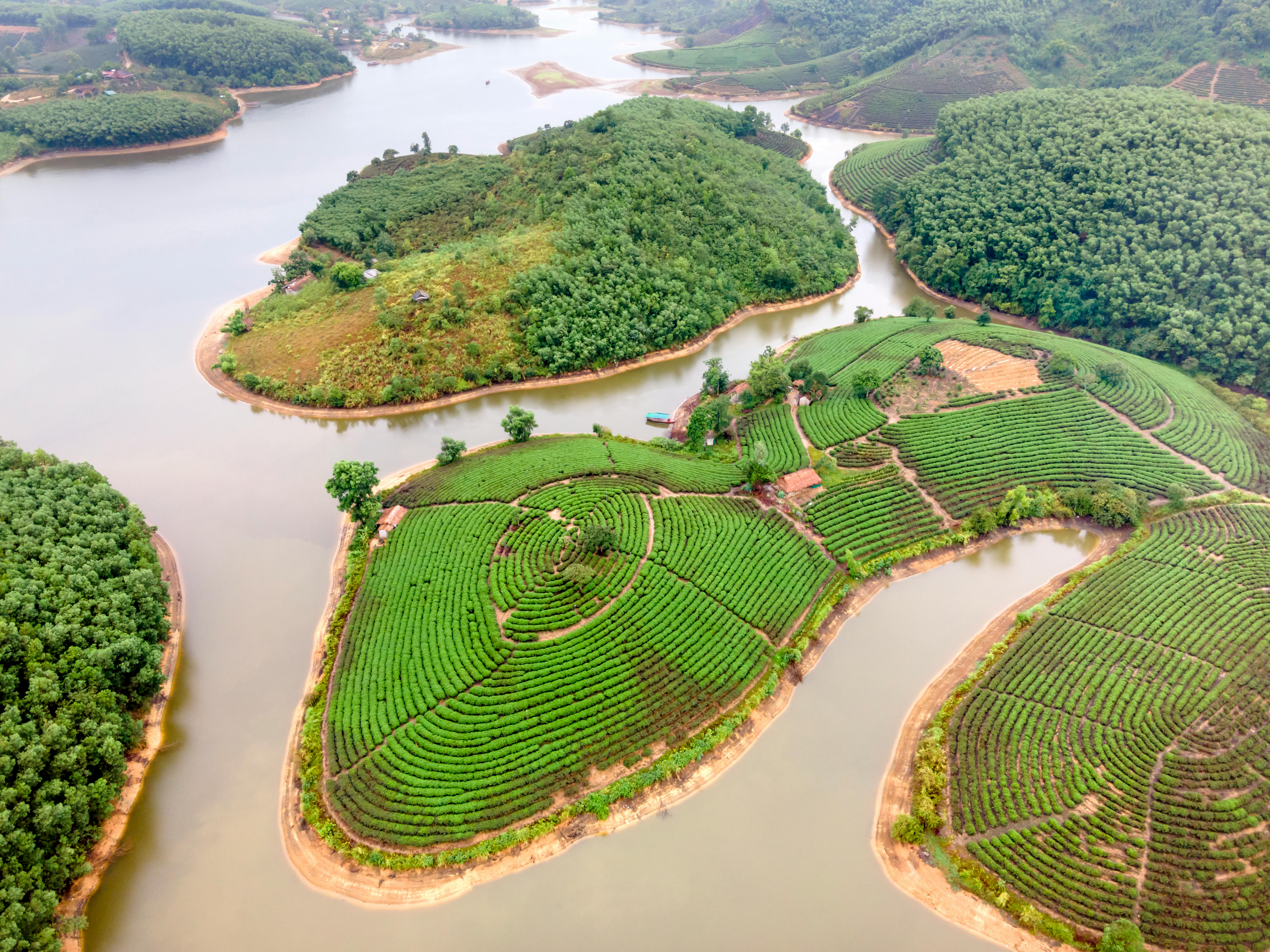 Aerial View of the Land with a River · Free Stock Photo