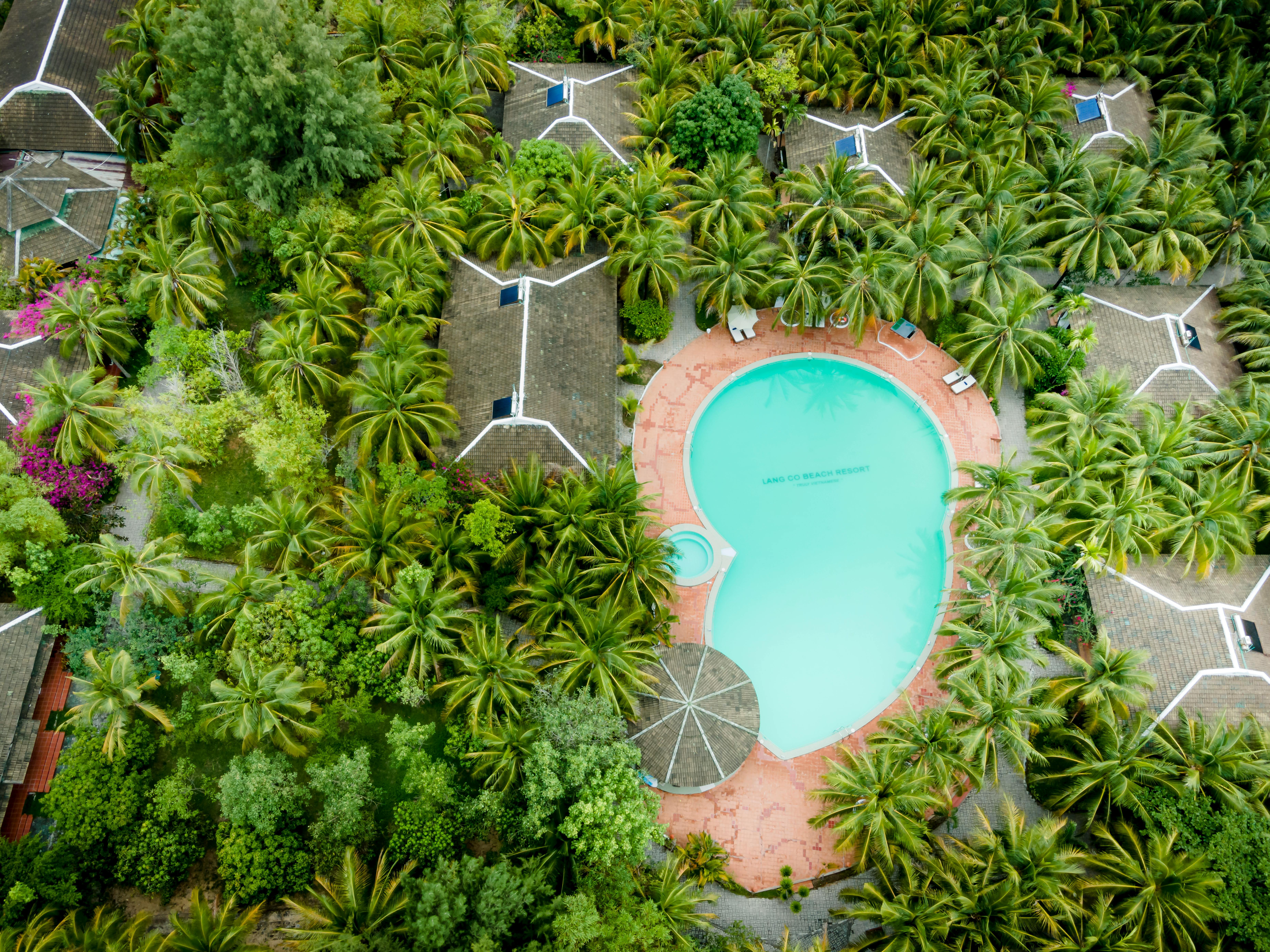 A Beautiful Swimming Pool Surrounded by Green Trees · Free Stock Photo
