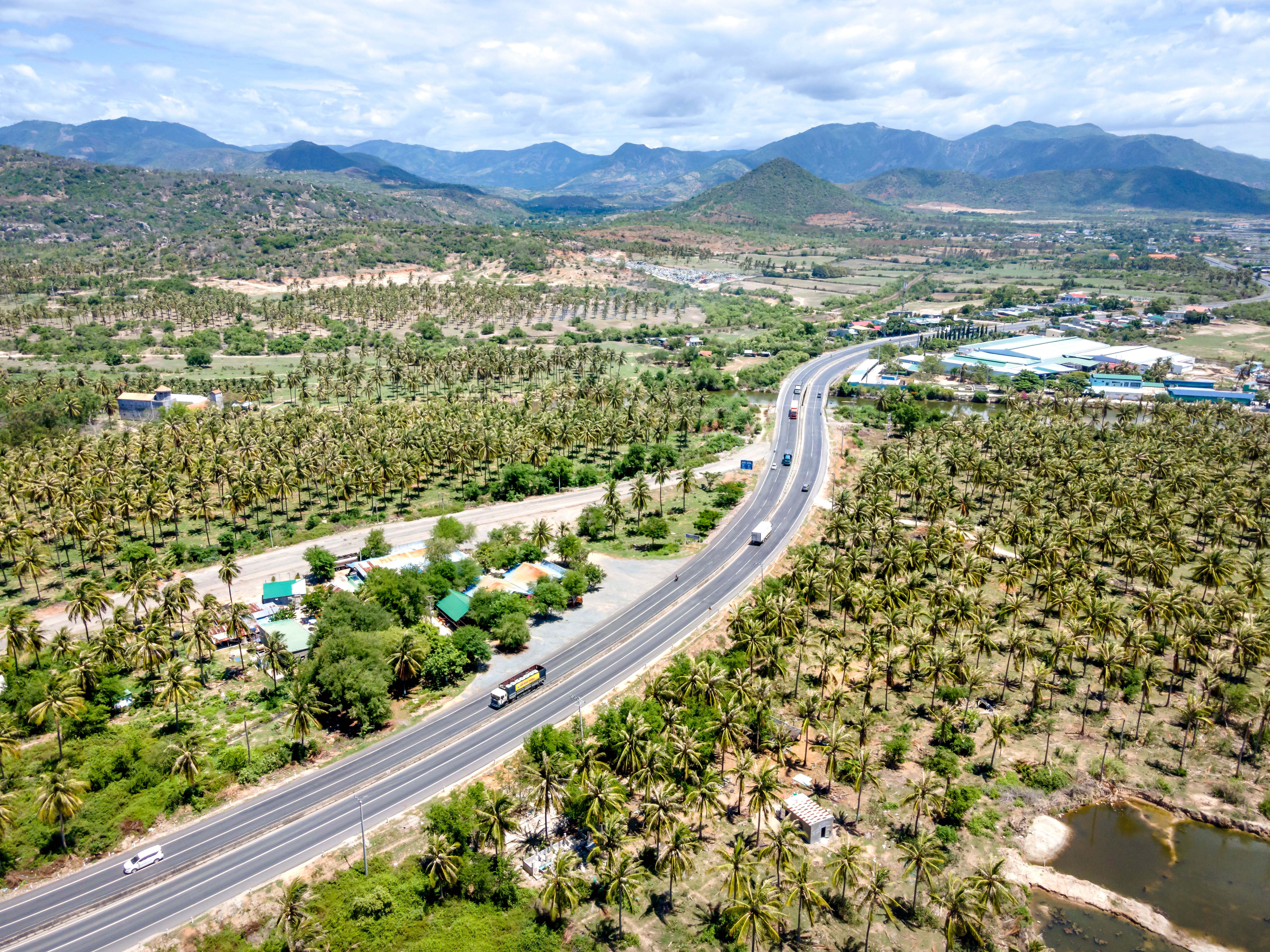 Highway among Palm Trees Forest · Free Stock Photo