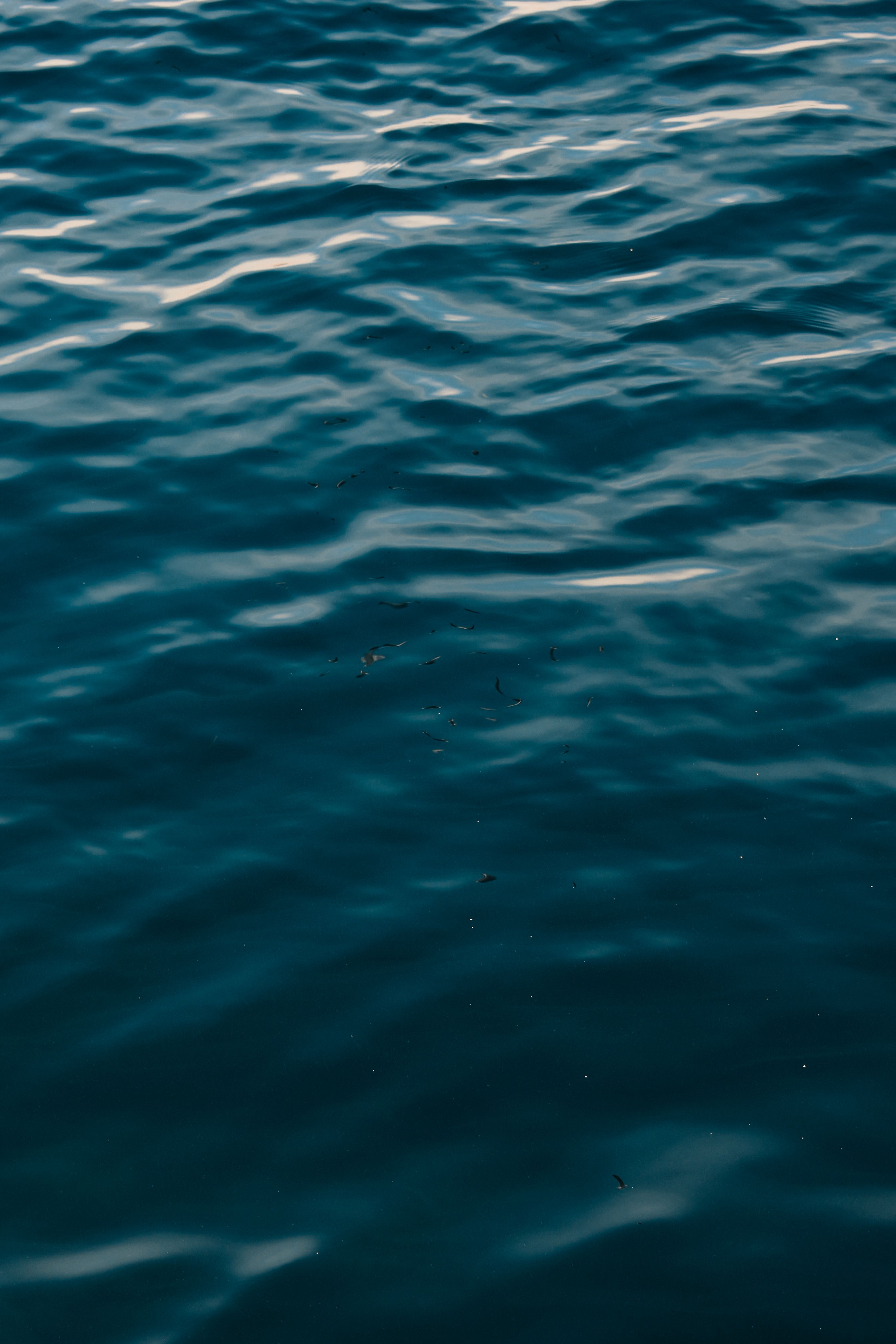 Blue Calm Water · Free Stock Photo