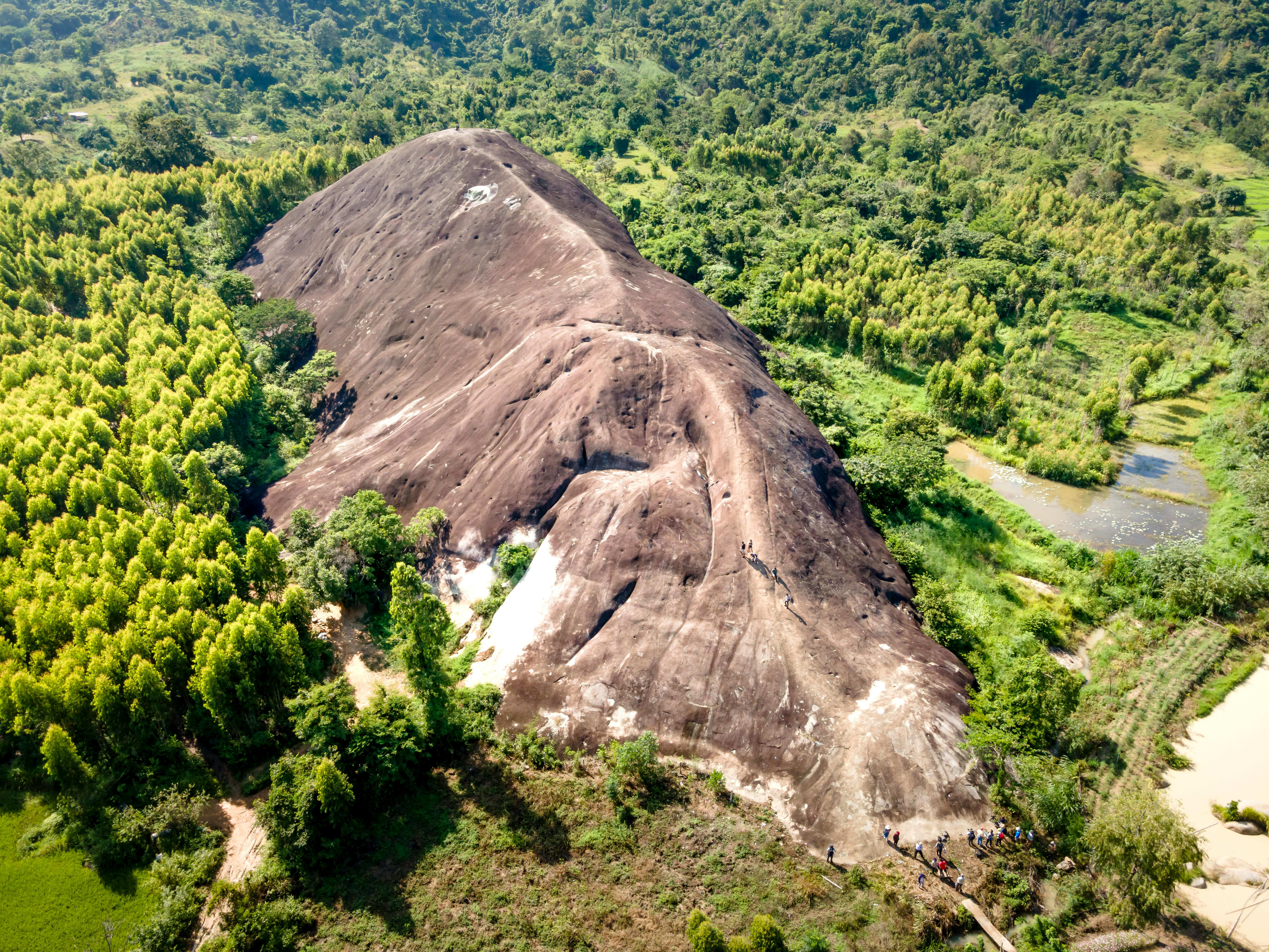 Elephant Climbing A Mountain Photos, Download The BEST Free Elephant ...