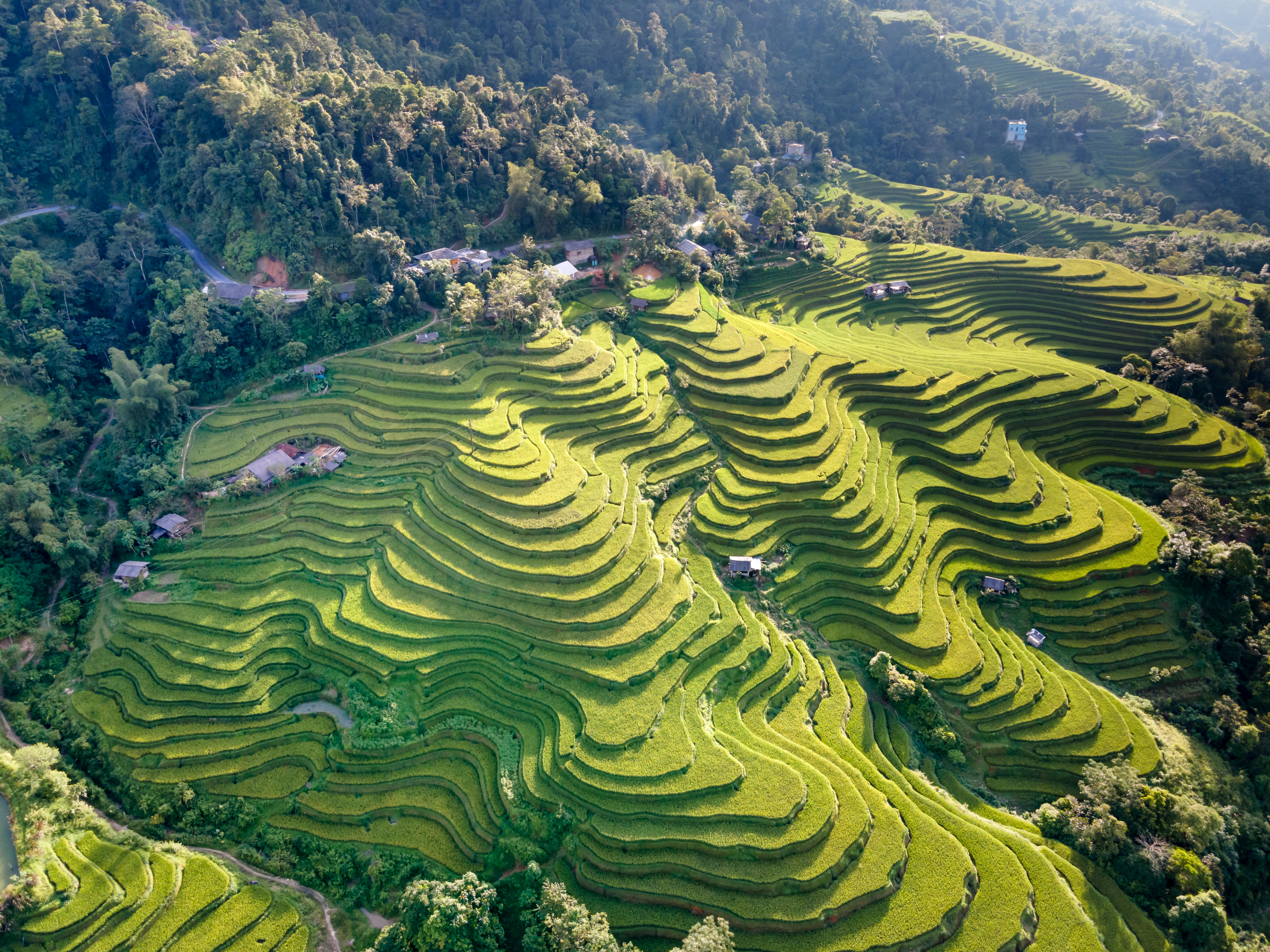 Farming in Rice Terraces on Mountain Slopes · Free Stock Photo