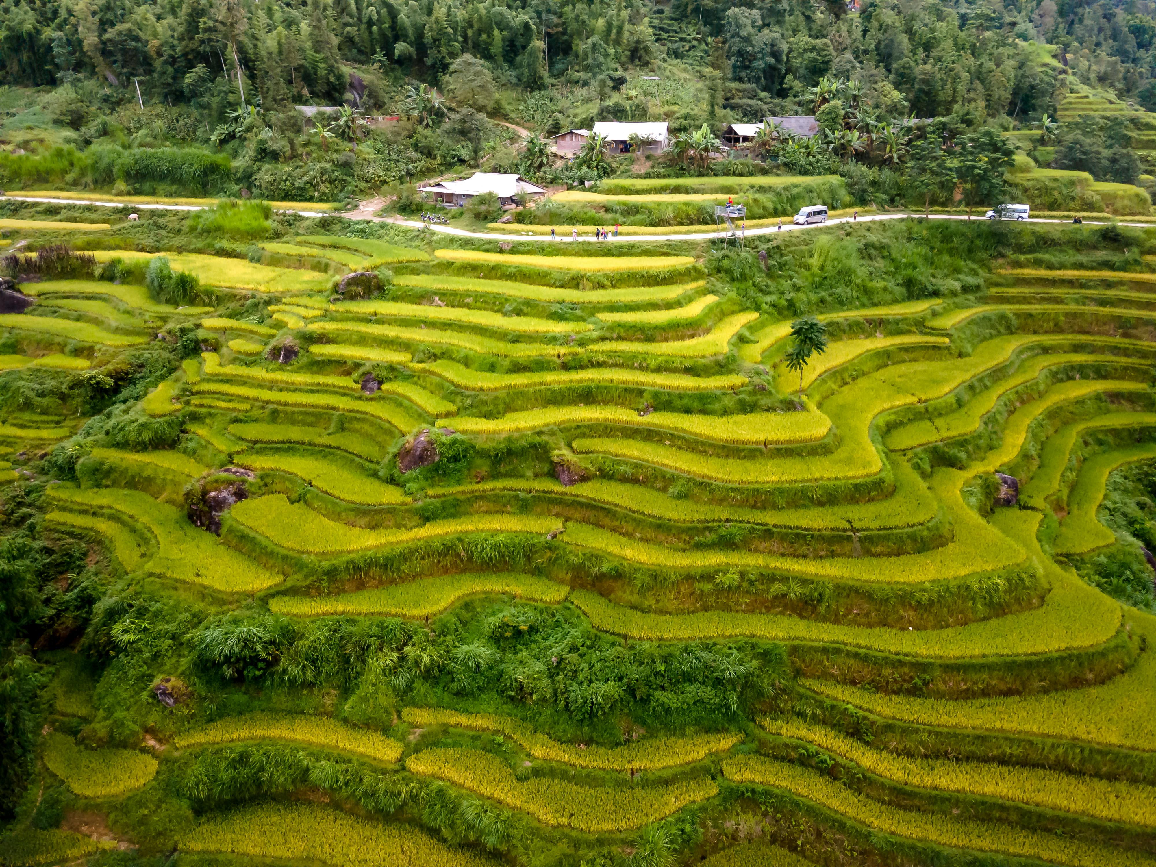 Photo of an Agricultural Field · Free Stock Photo