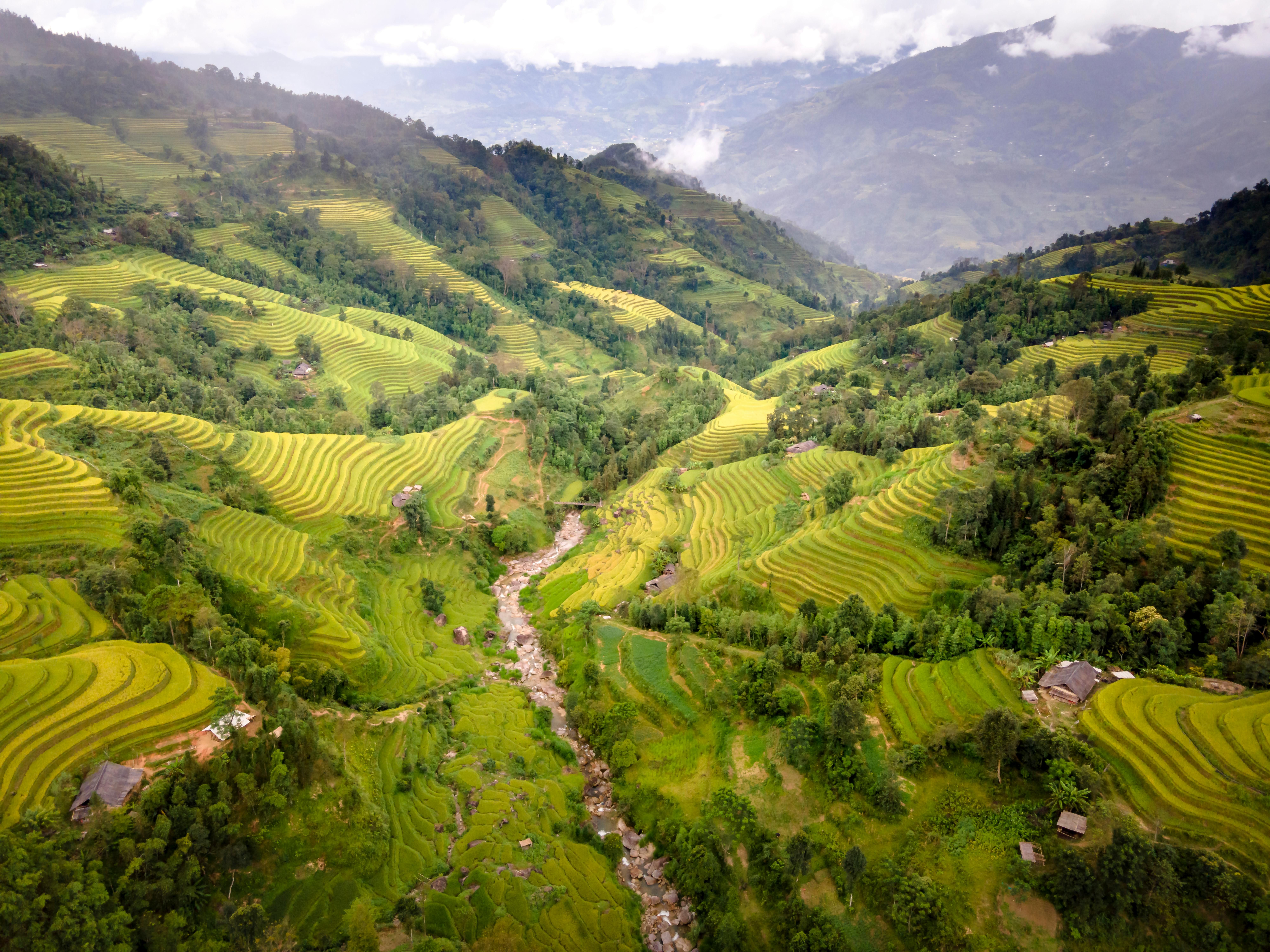 Aerial View of Scenic Valley Covered in Rice Fields · Free Stock Photo
