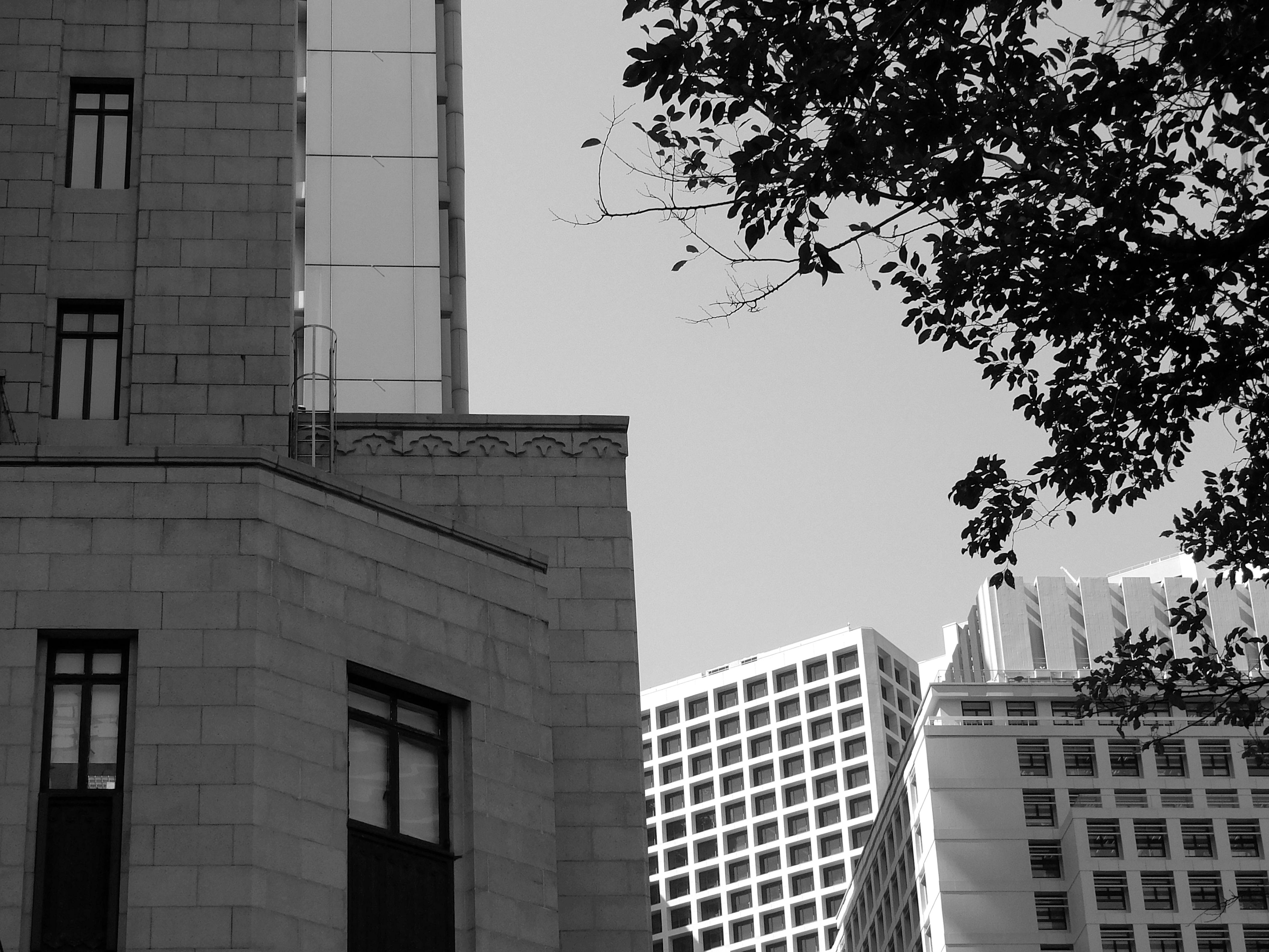 Office View Out Window Photos, Download The BEST Free Office View Out ...