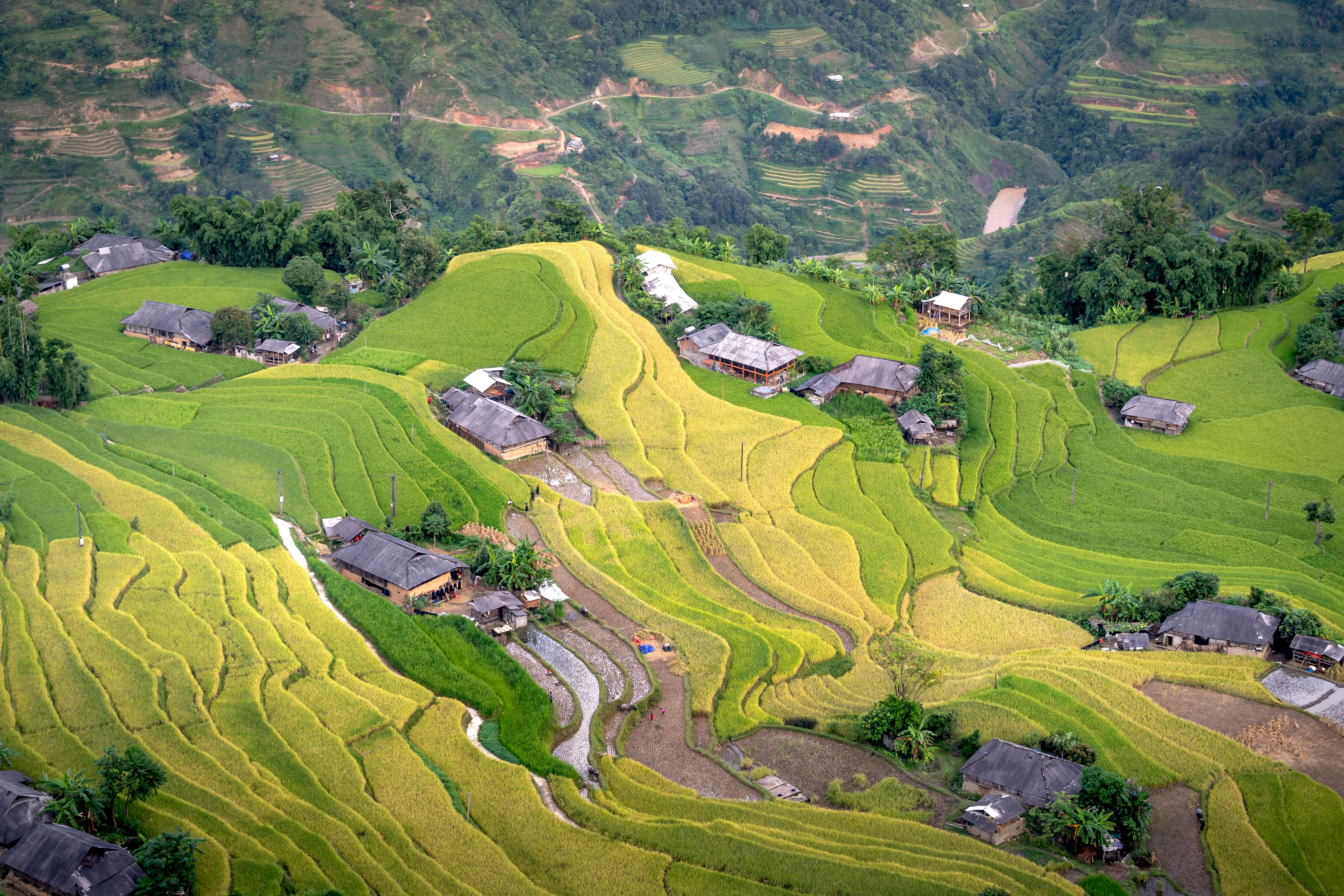 Aerial Photo Terraced Fields in Vietnam · Free Stock Photo
