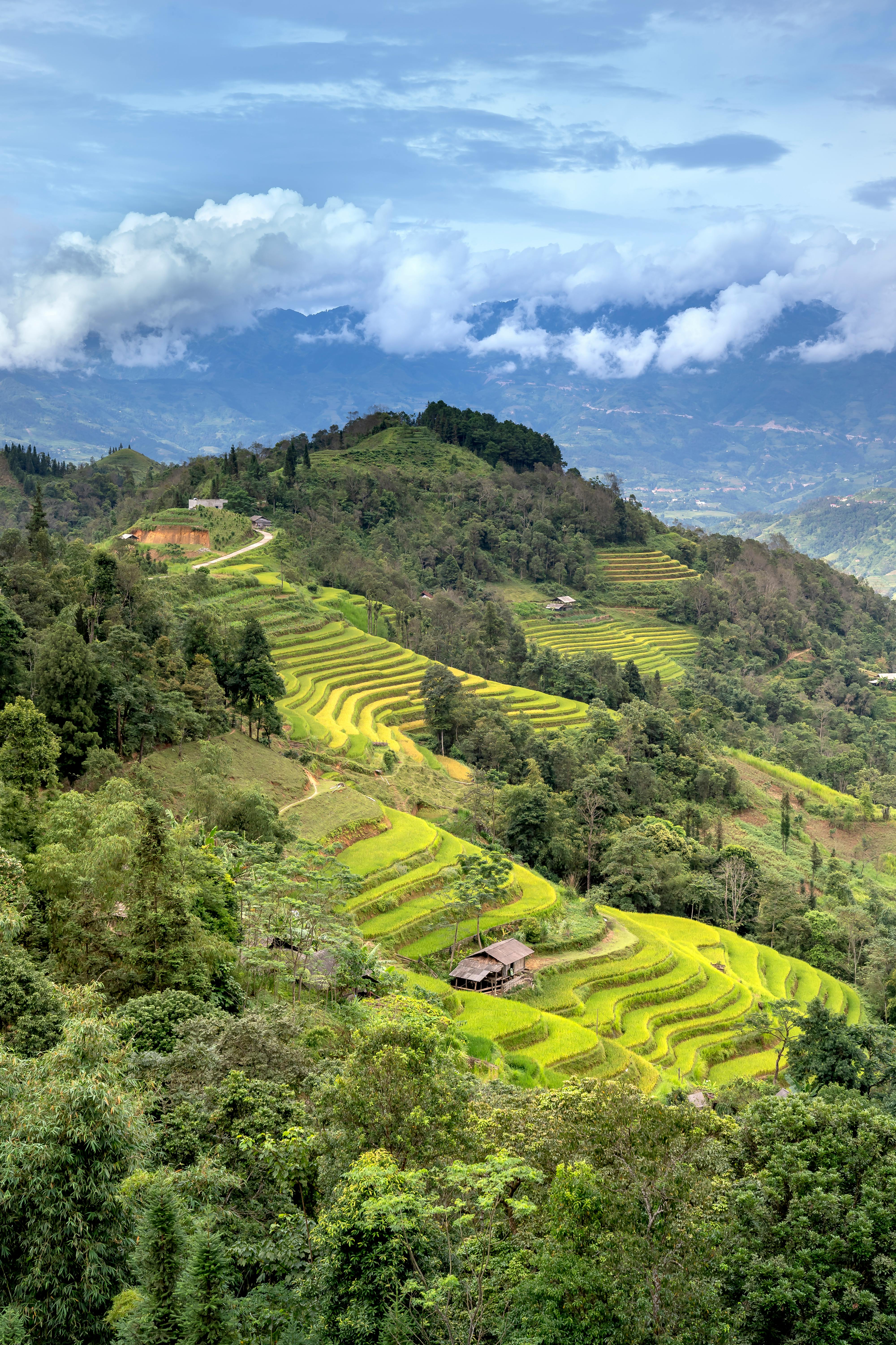 Aerial Photography of a Rice Terraces · Free Stock Photo