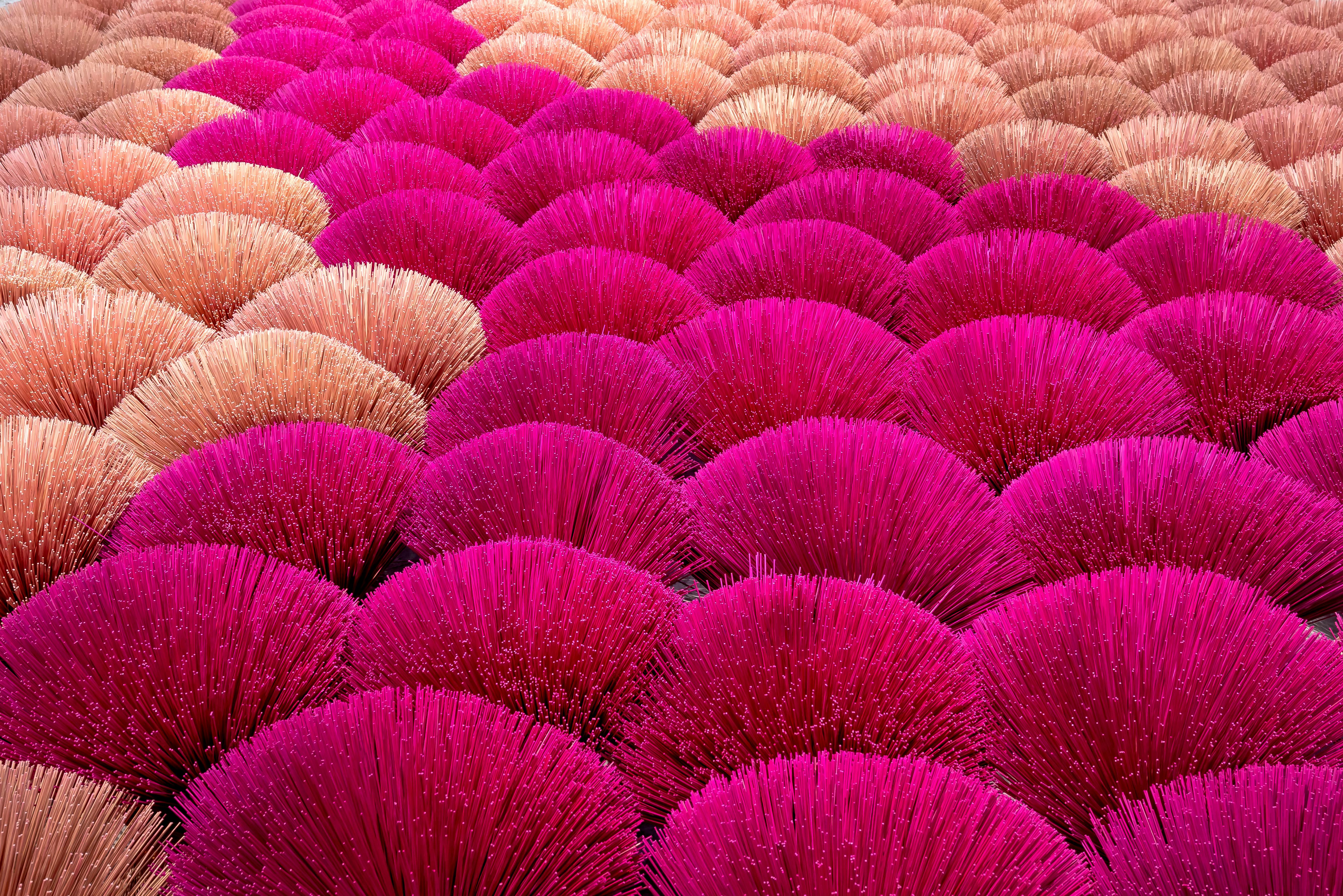 Colorful Pompoms as Decorations · Free Stock Photo