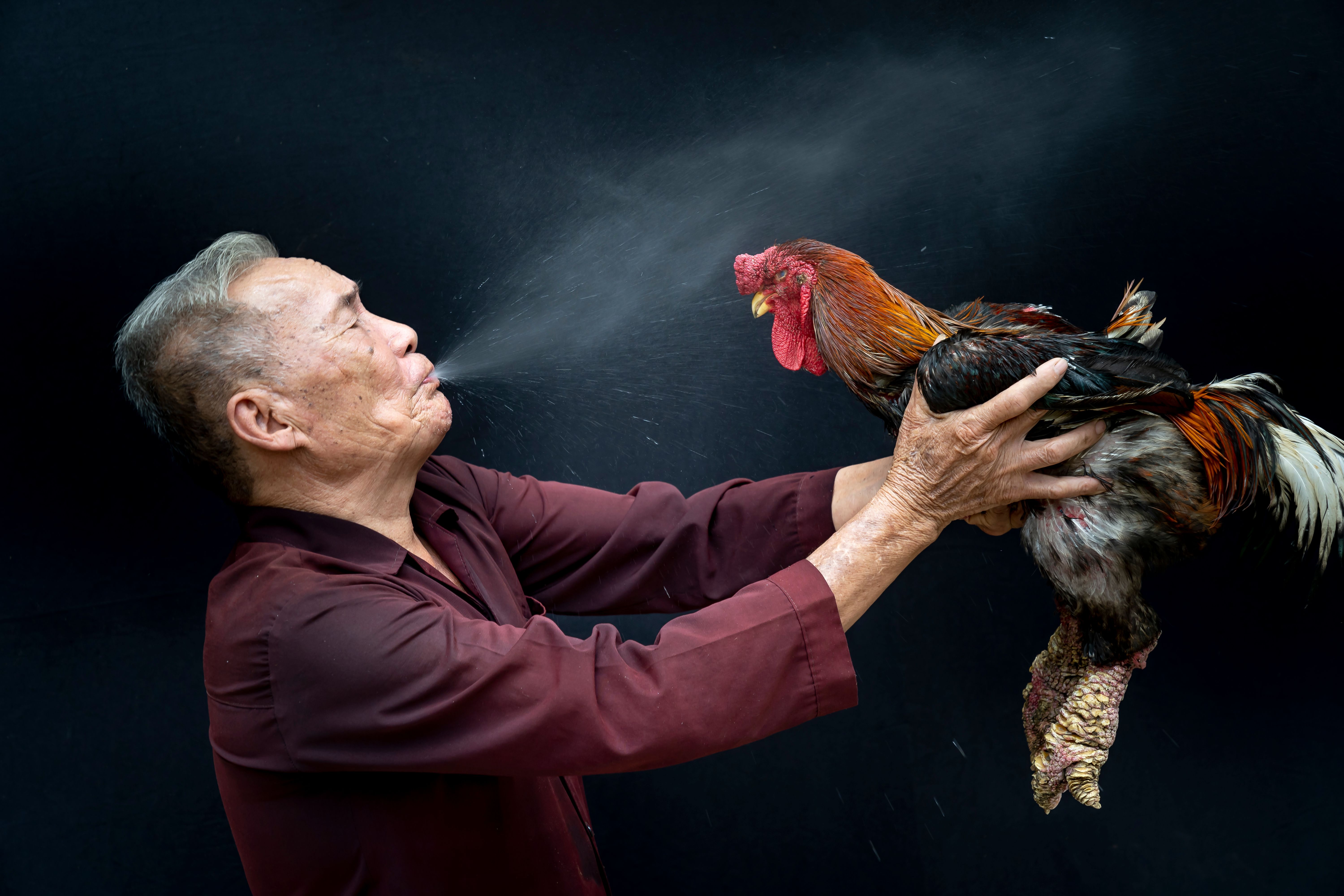 Spitting Photos, Download The BEST Free Spitting Stock Photos & HD Images