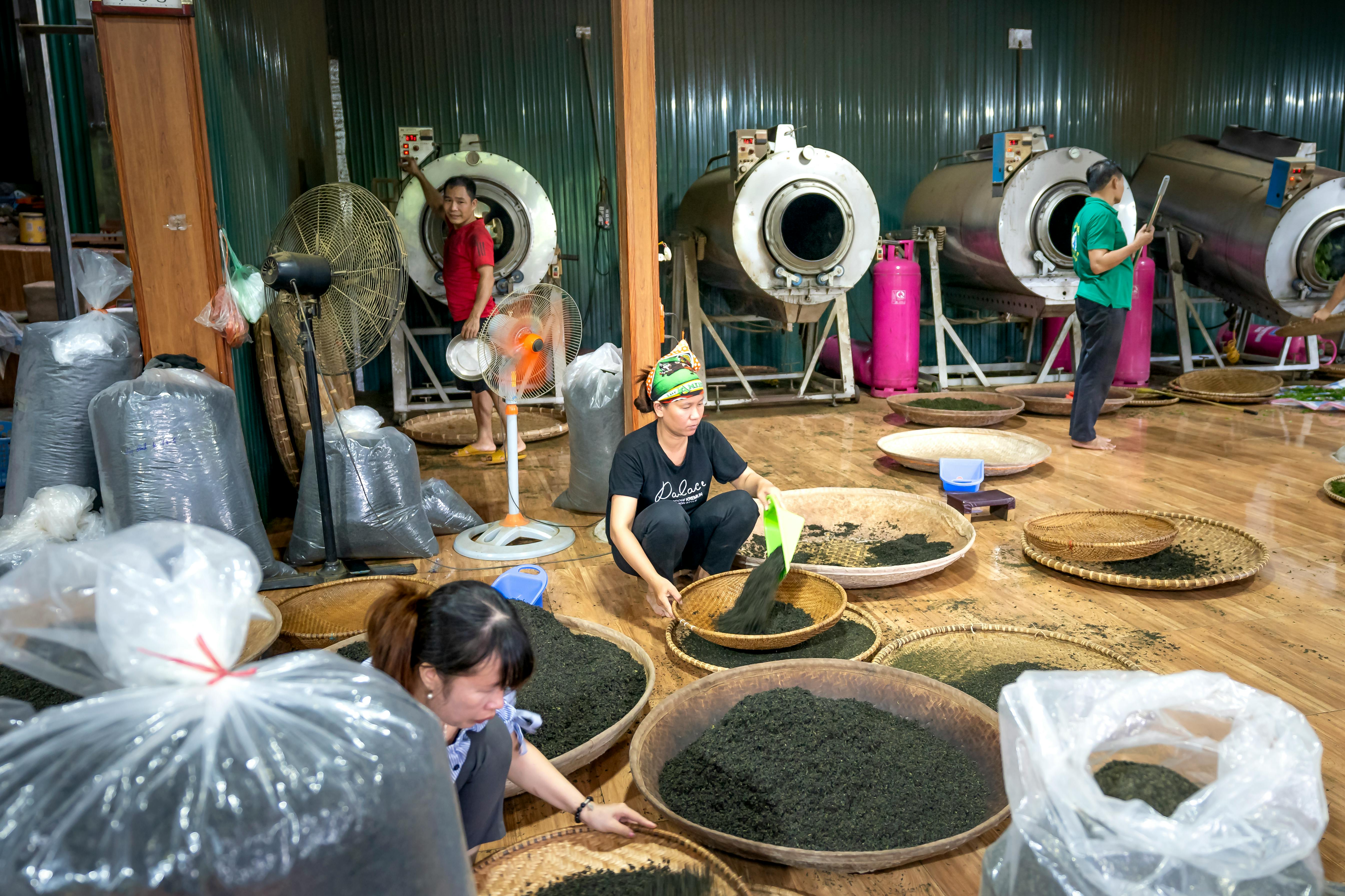 Tea Process Photos, Download The BEST Free Tea Process Stock Photos ...