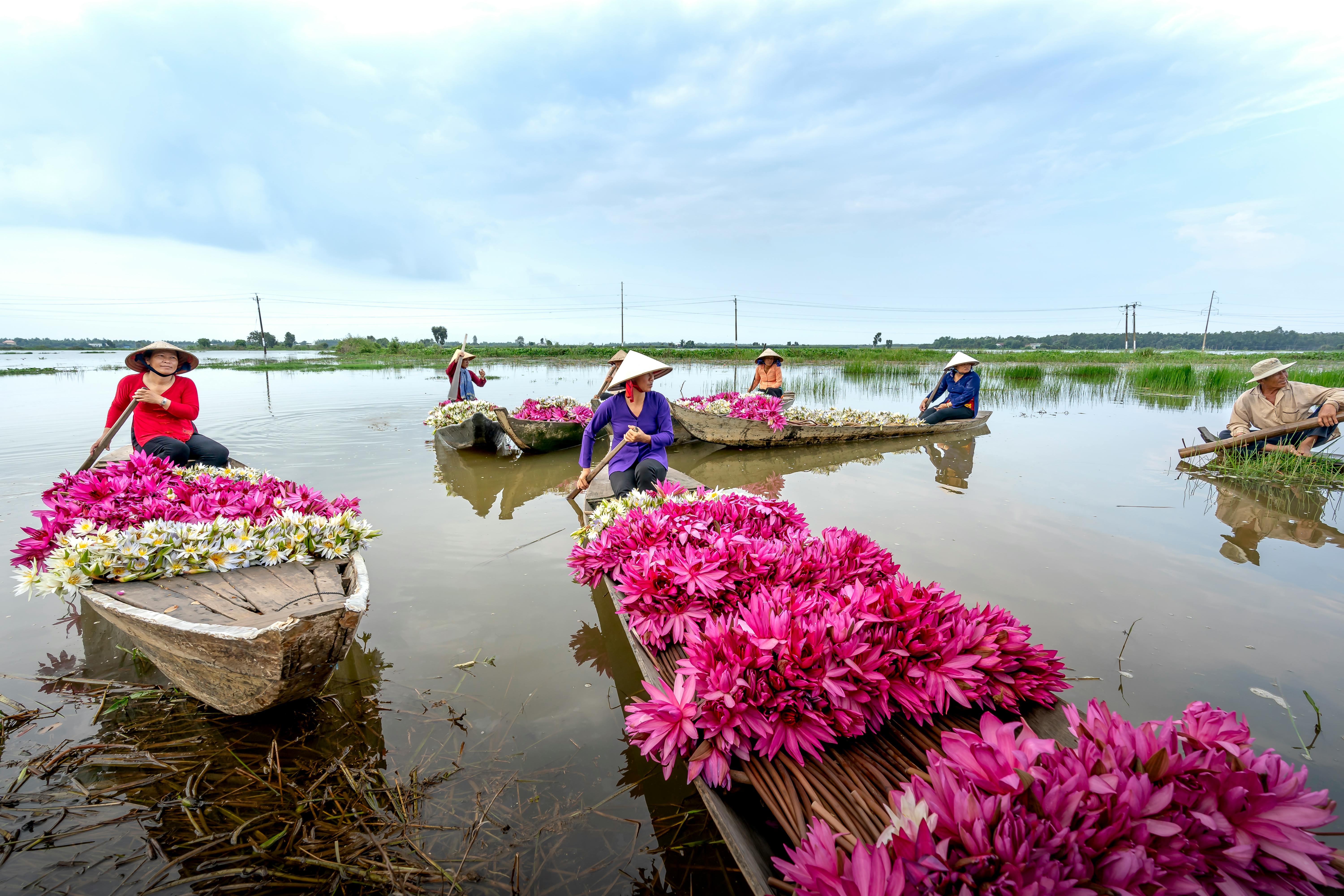 Three Women Riding Boats with Lotus Flowers · Free Stock Photo