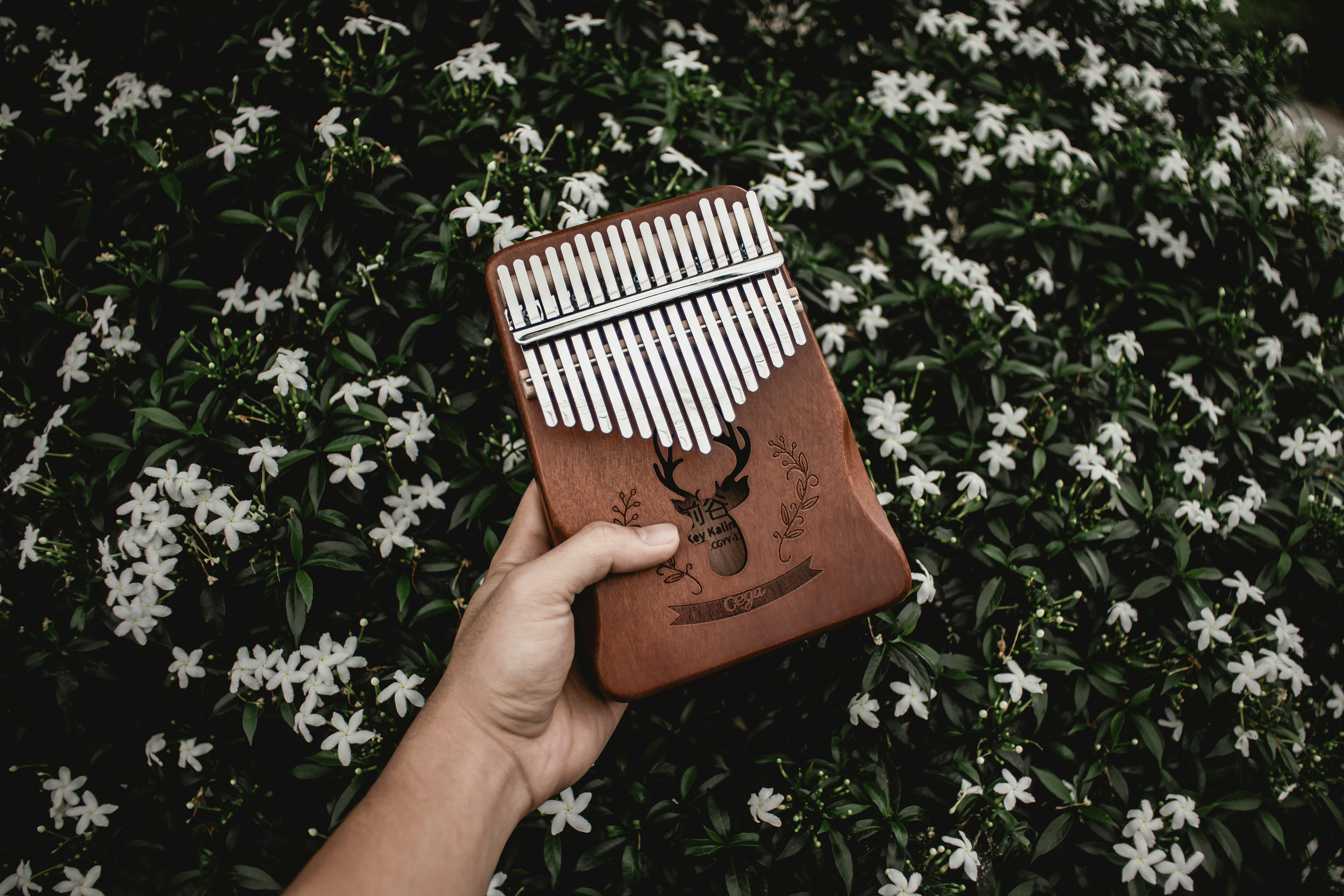 Kalimba Photos, Download The BEST Free Kalimba Stock Photos & HD Images