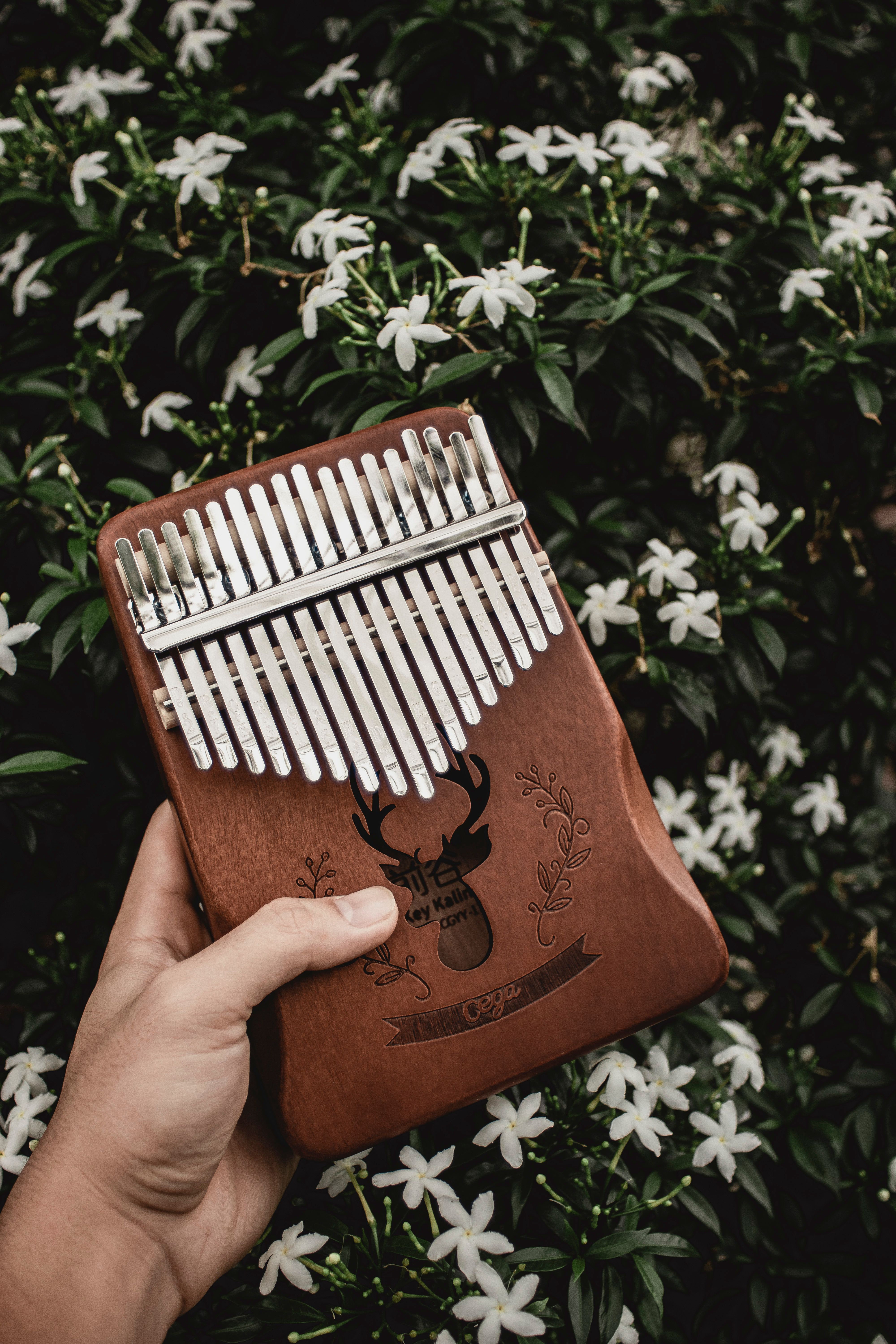 Mbira Zimbabwe Photos, Download The BEST Free Mbira Zimbabwe Stock ...