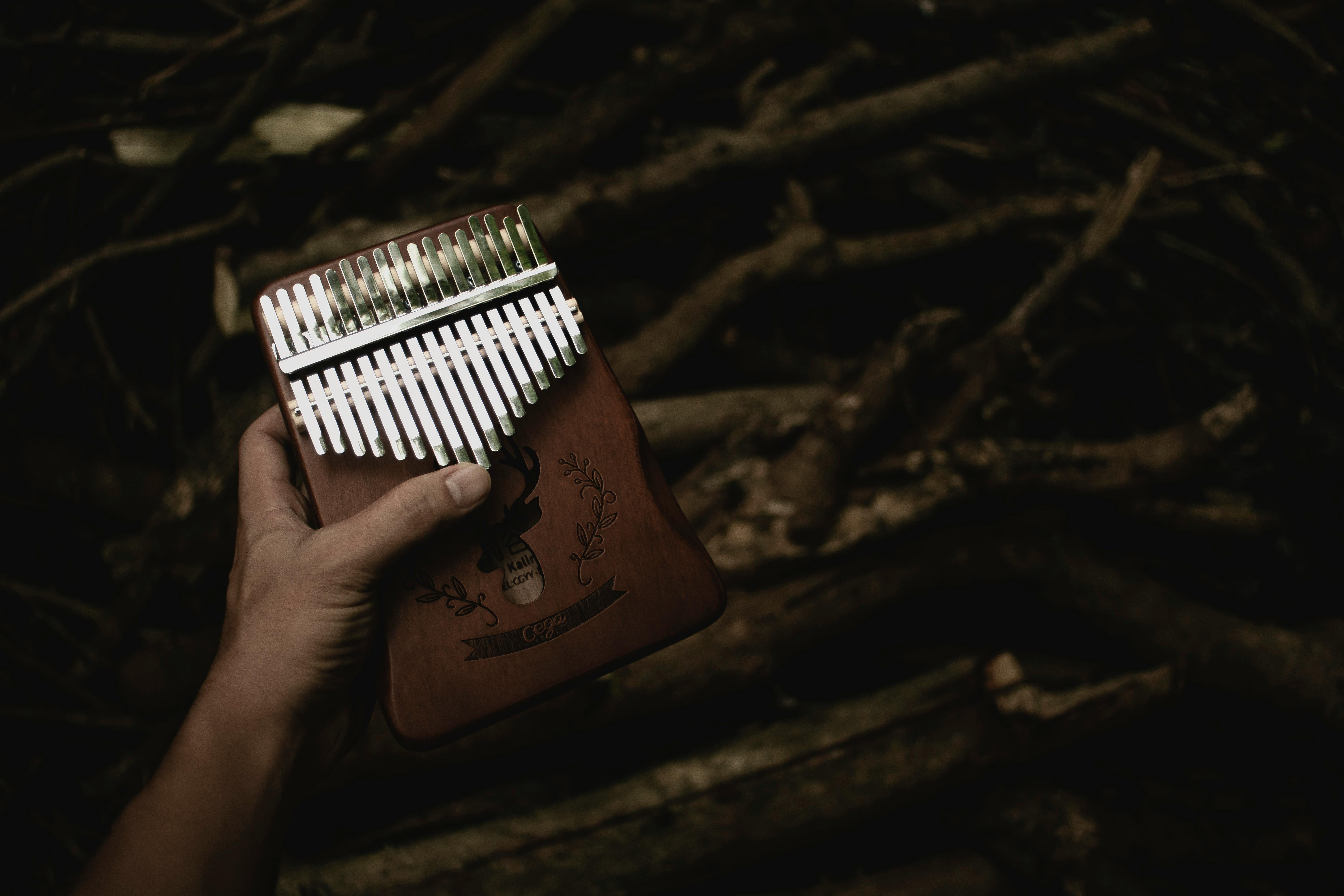 Person Playing a Kalimba · Free Stock Photo