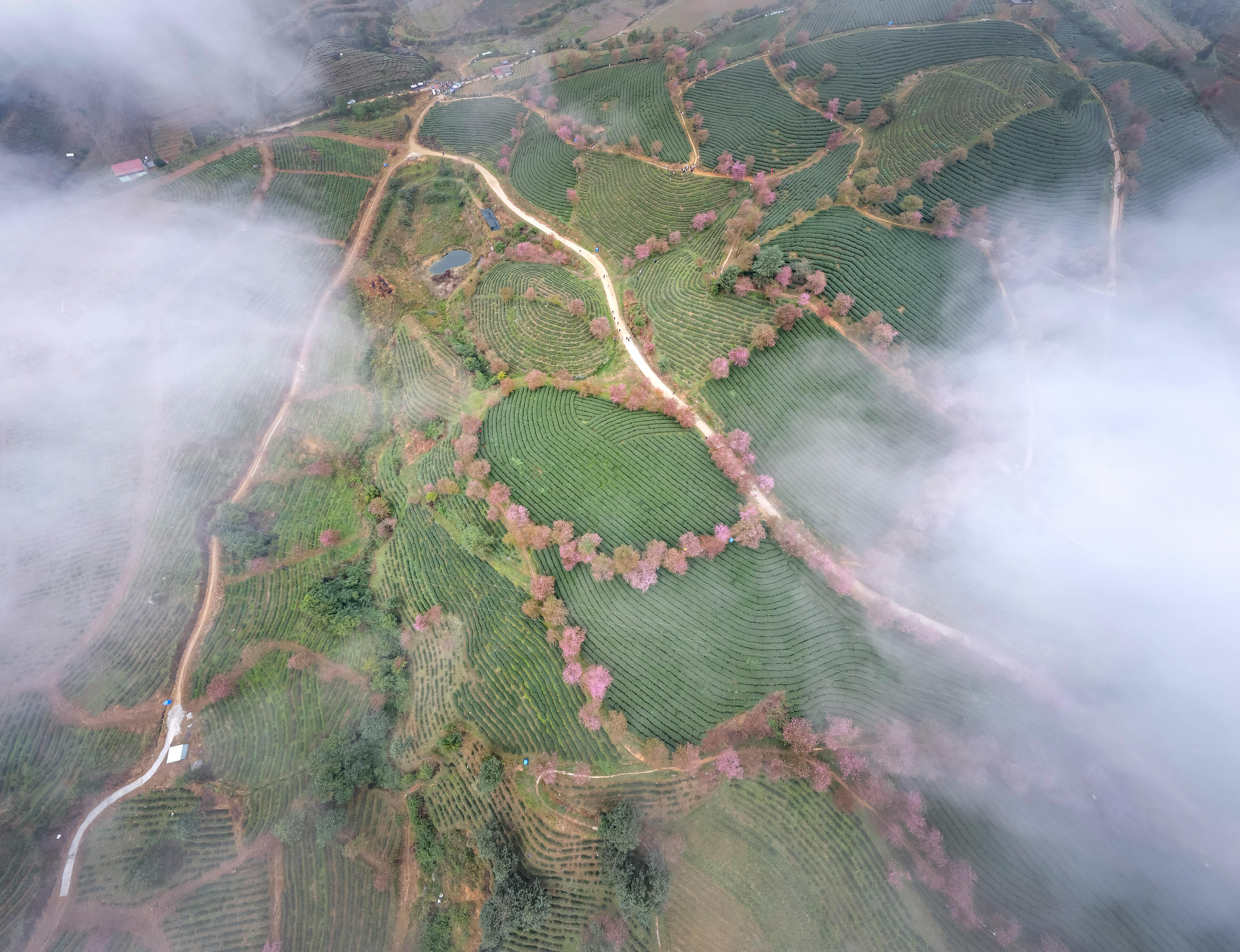 Aerial View of a Landscape · Free Stock Photo