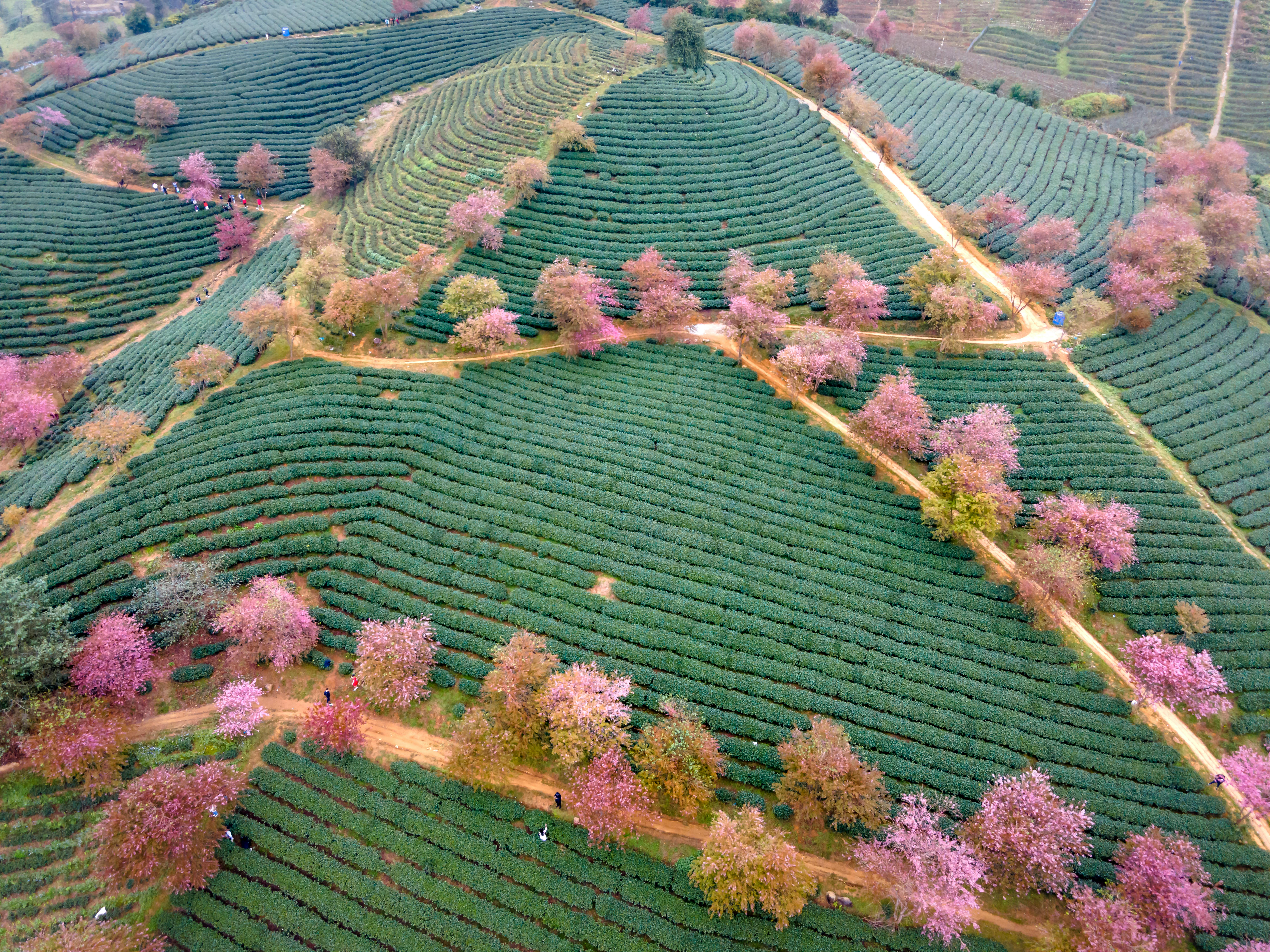 Aerial View of Farm Field · Free Stock Photo