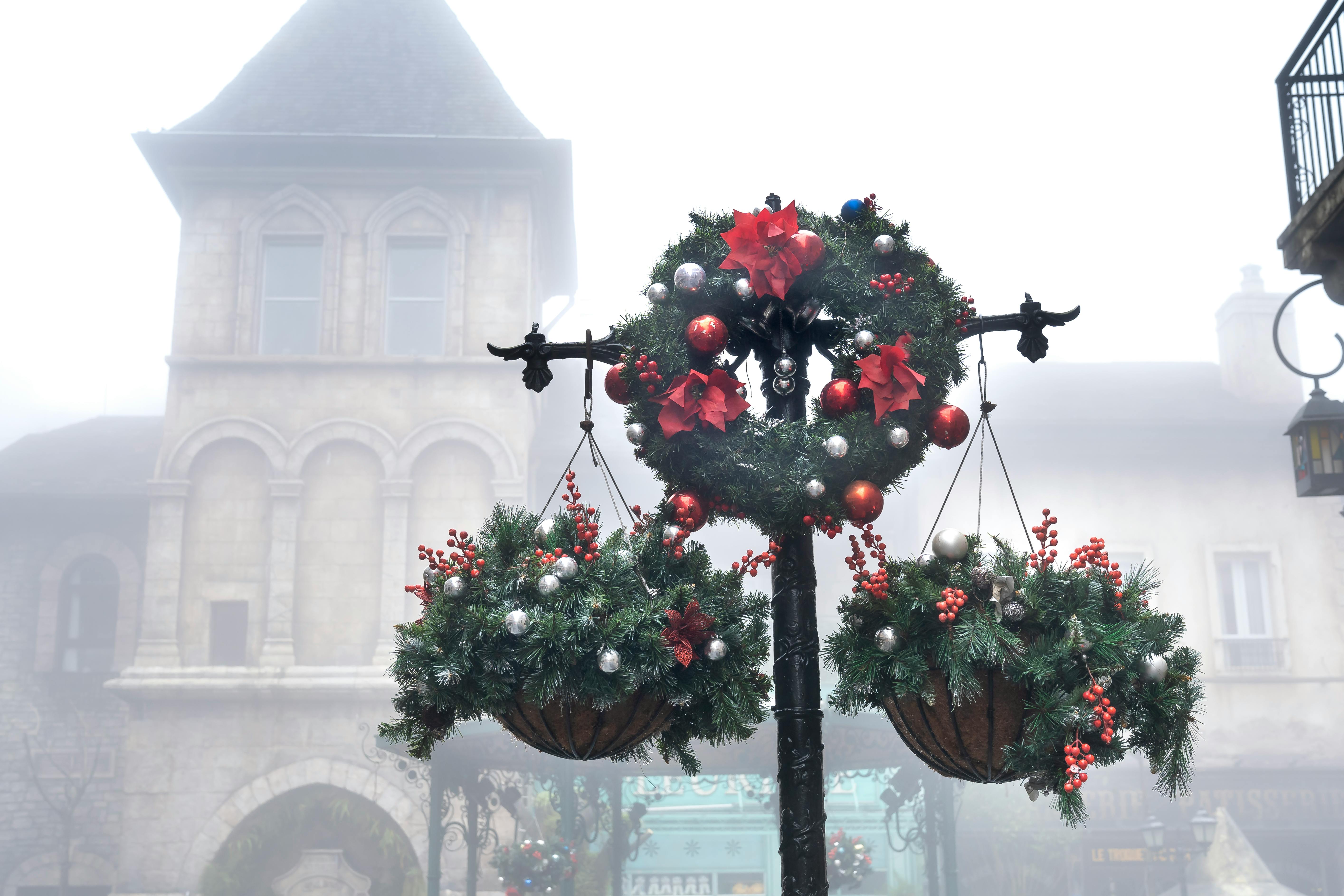 Christmas Morning Photos, Download The BEST Free Christmas Morning ...