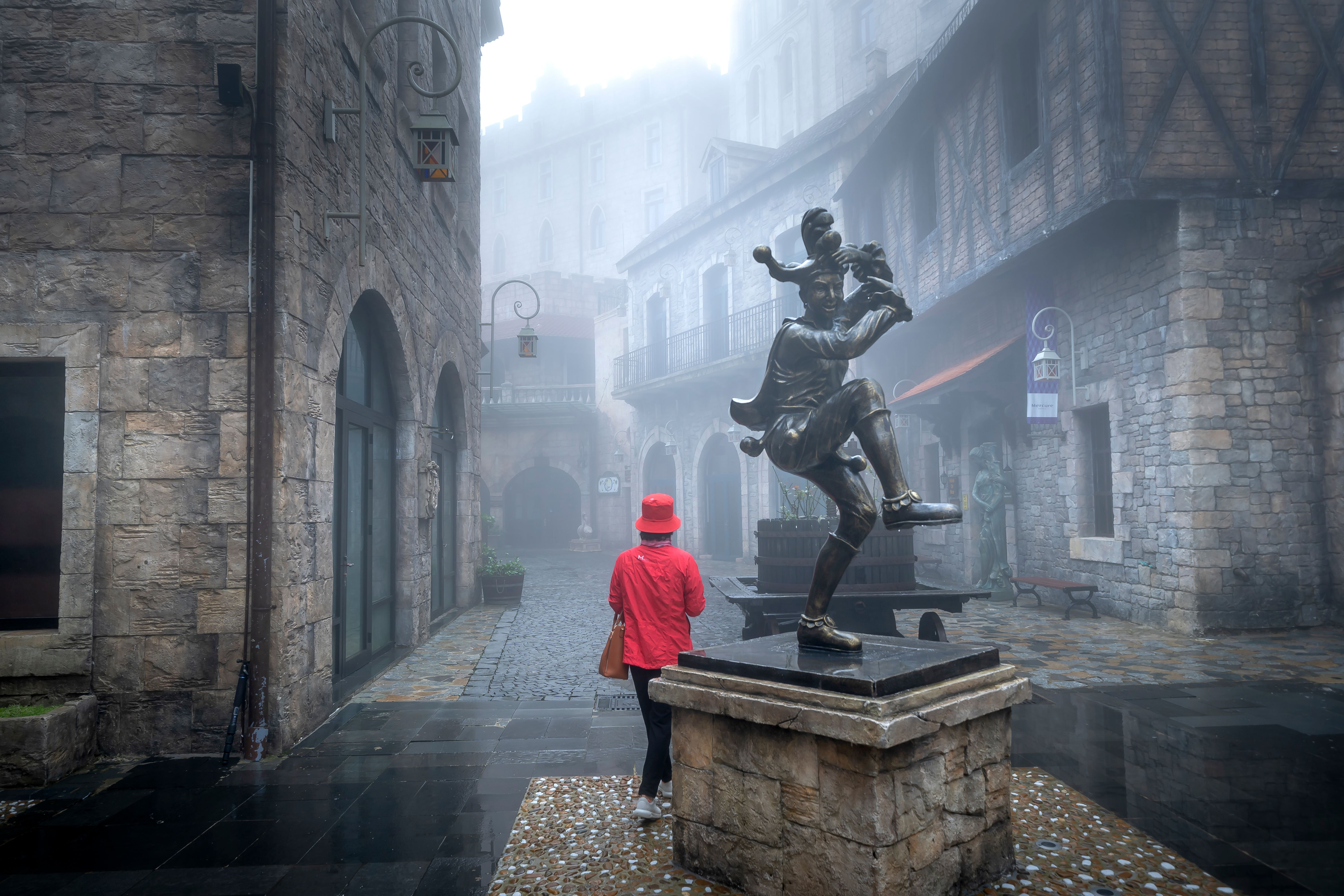 Jester Photos Download The Best Free Jester Stock Photos Hd Images