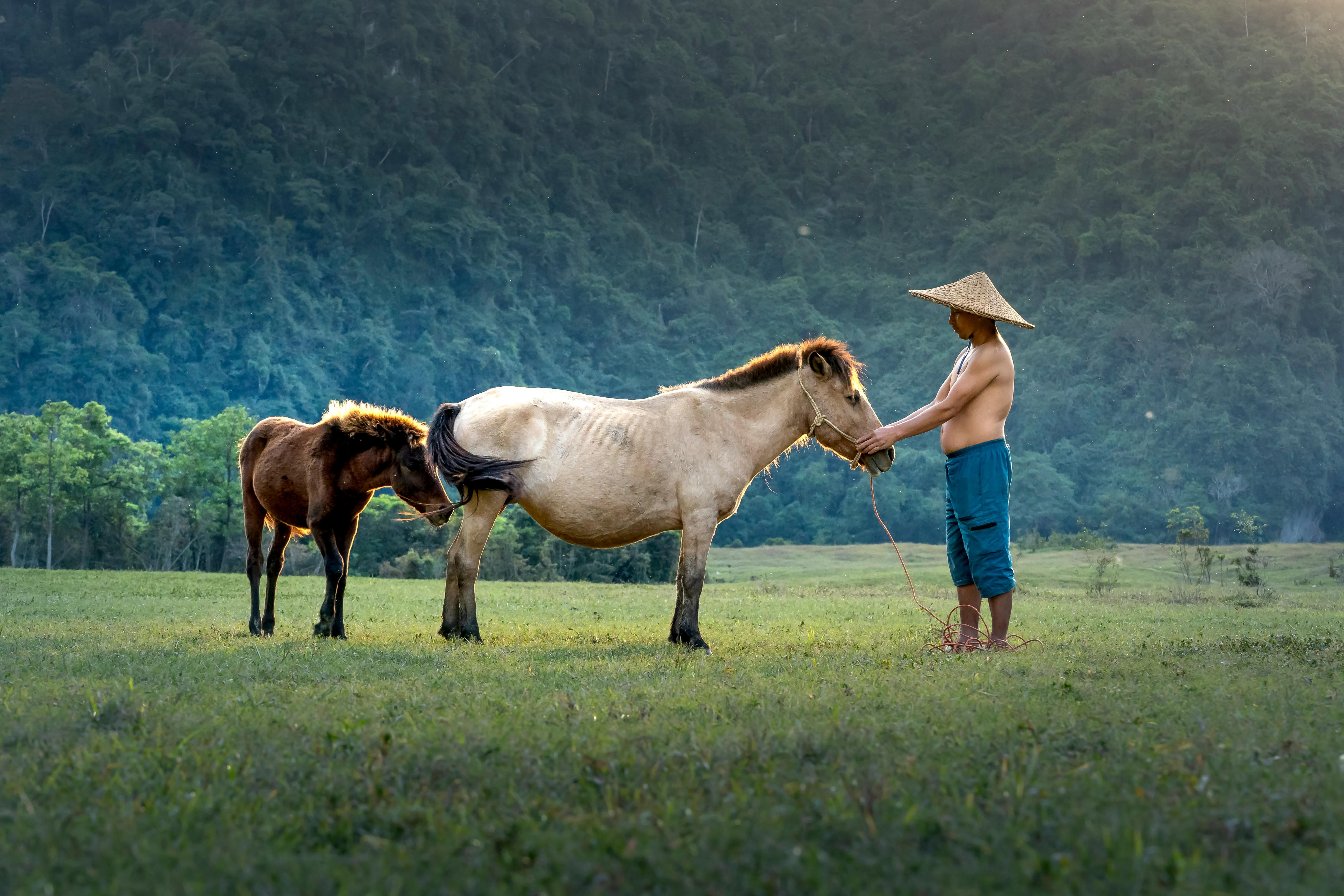 711+ Best Free 98 x 98 Stock Photos & Images · 100% Royalty-Free HD ...