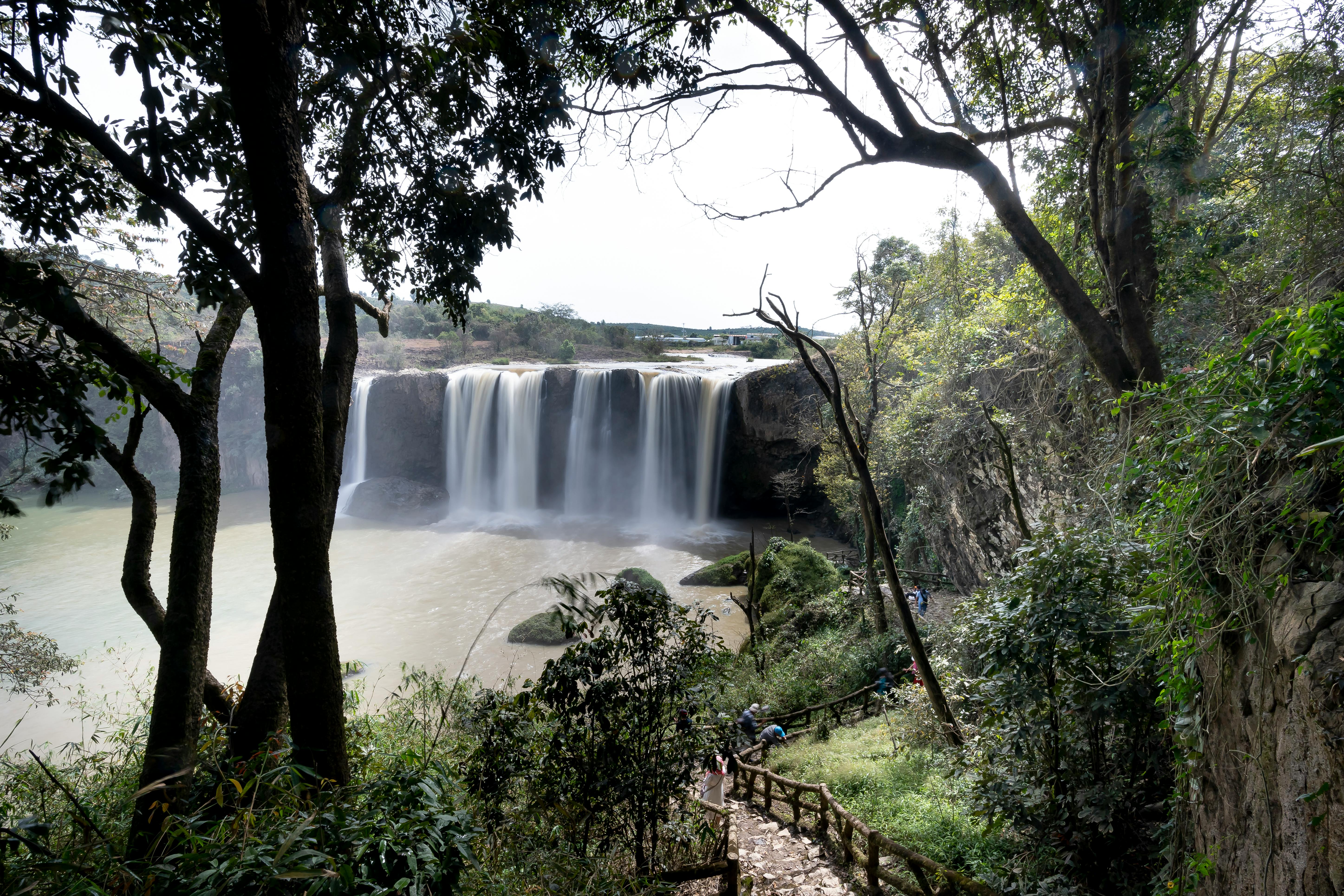 Green Trees Near Waterfalls · Free Stock Photo