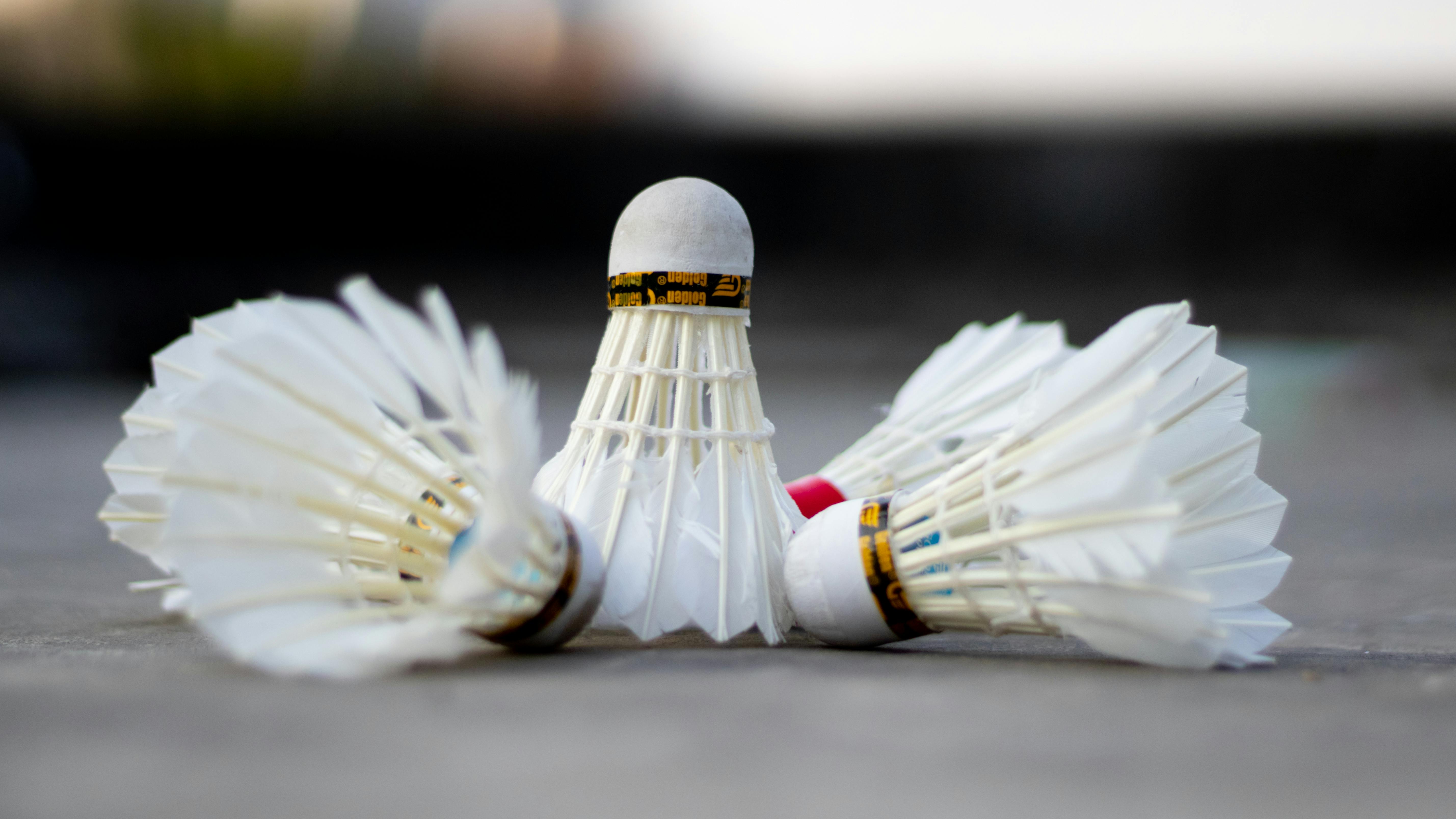 Shuttlecock on the Ground · Free Stock Photo