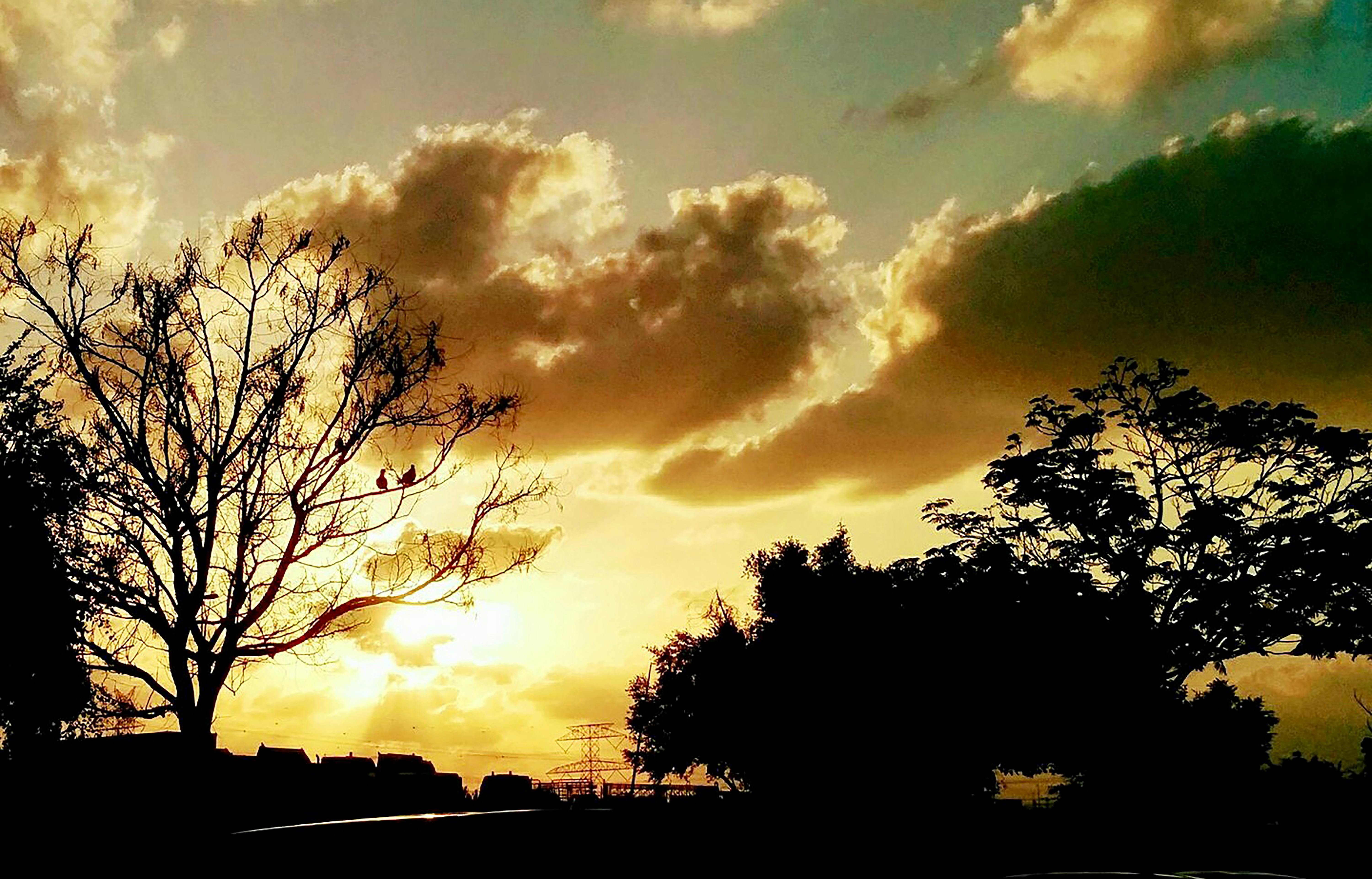 Free stock photo of backlit, clouds, evening
