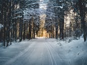 More 1150 Snow Synonyms. Similar words for Snow.