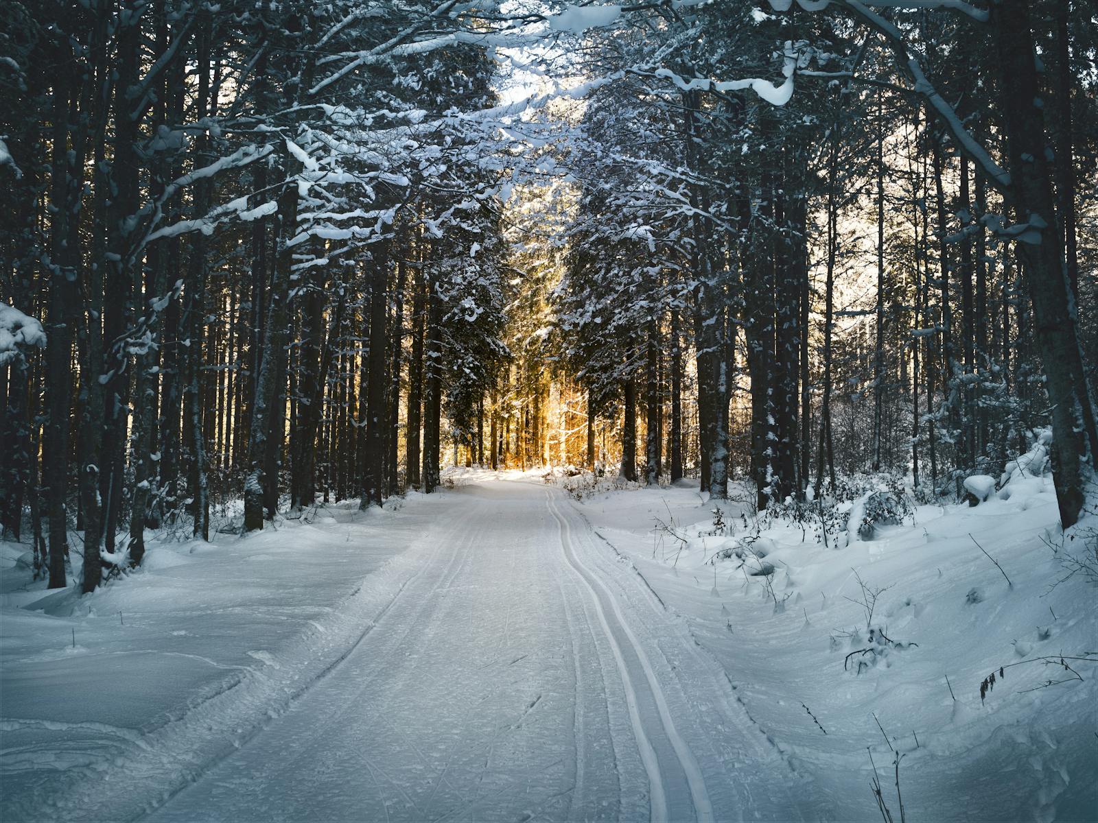 70,000+ Best Winter Pictures · 100% Free Download Winter Images ...