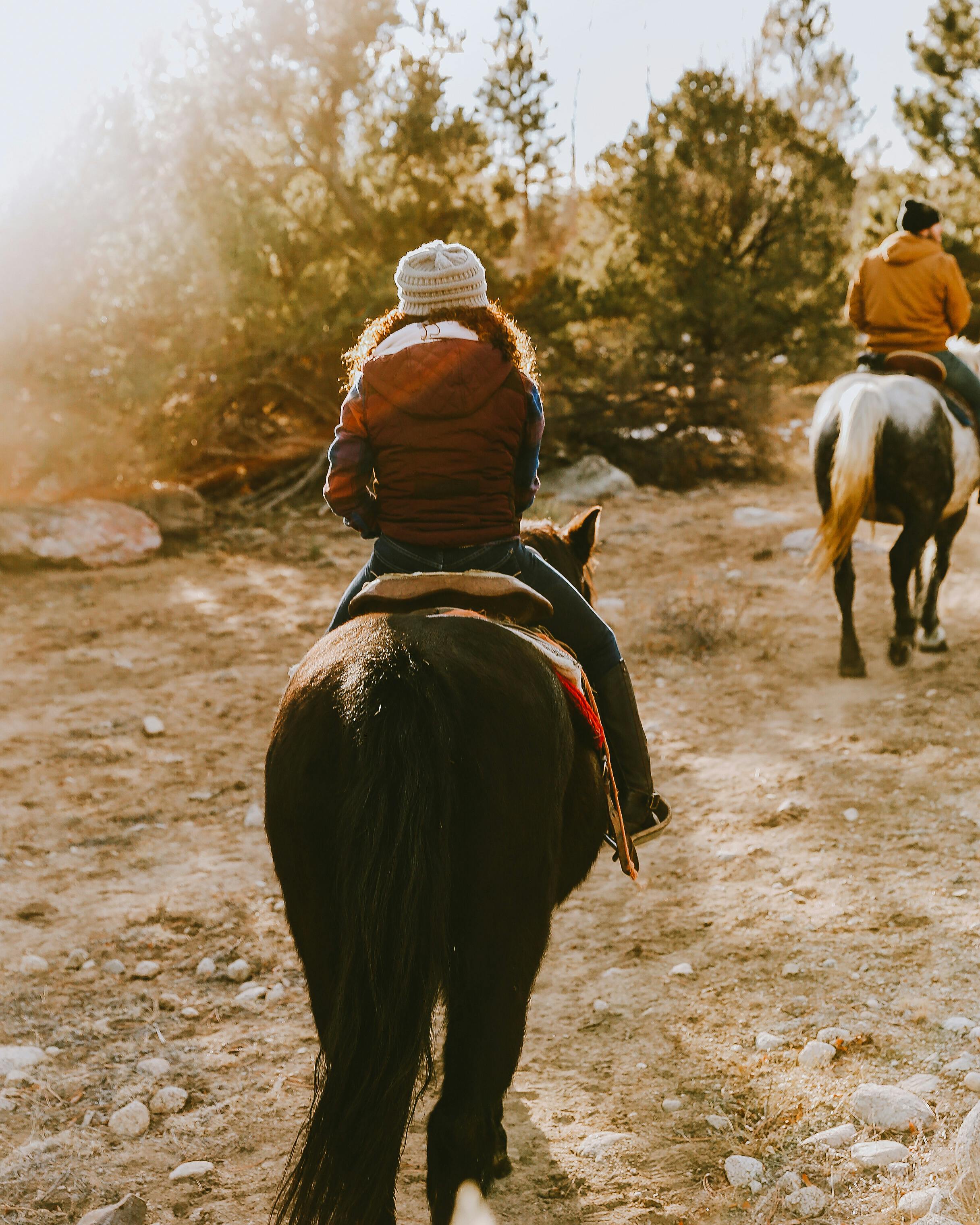Girl Learning Horseback Riding · Free Stock Photo