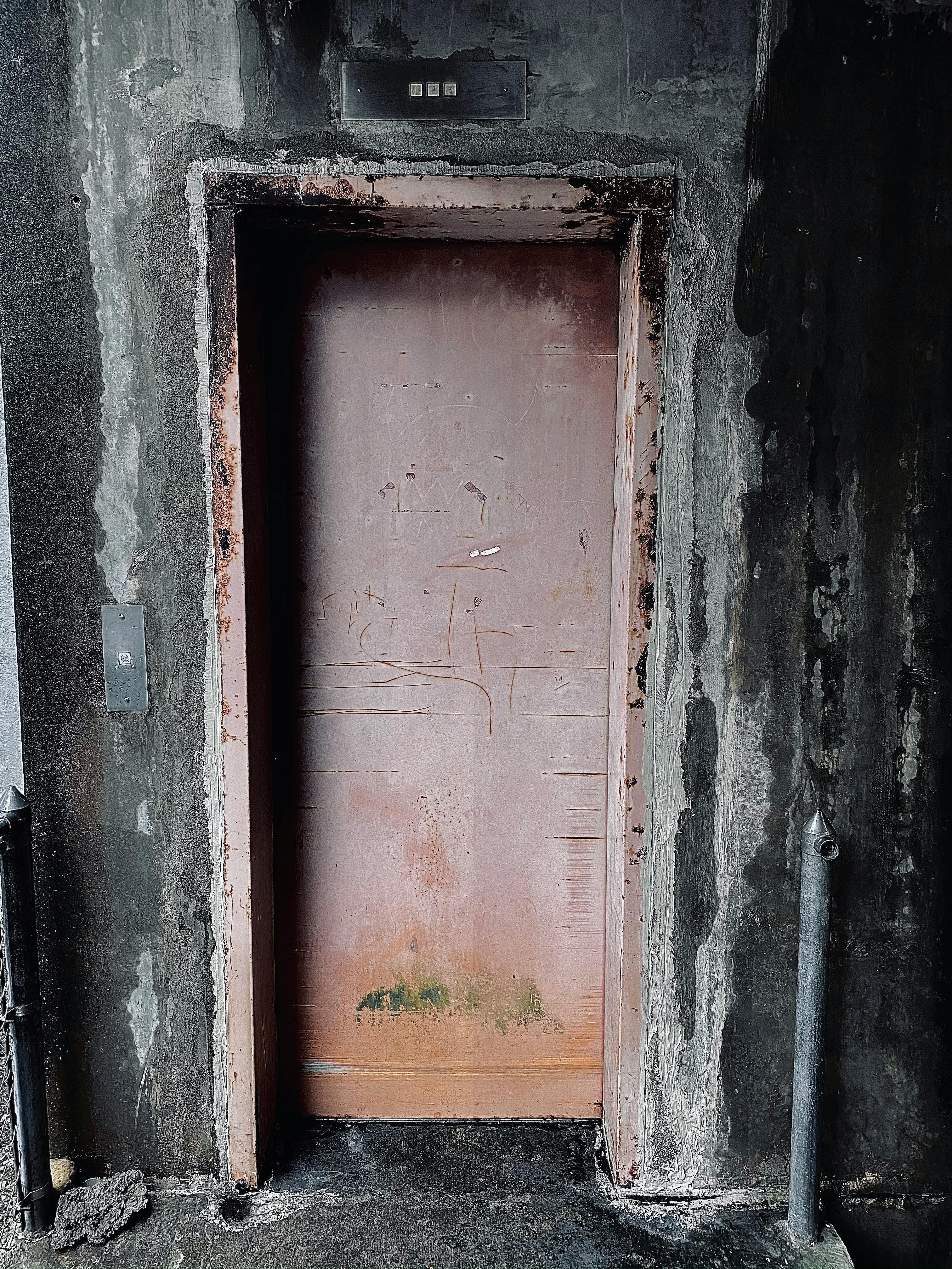 Matthew Willis - Fotografía