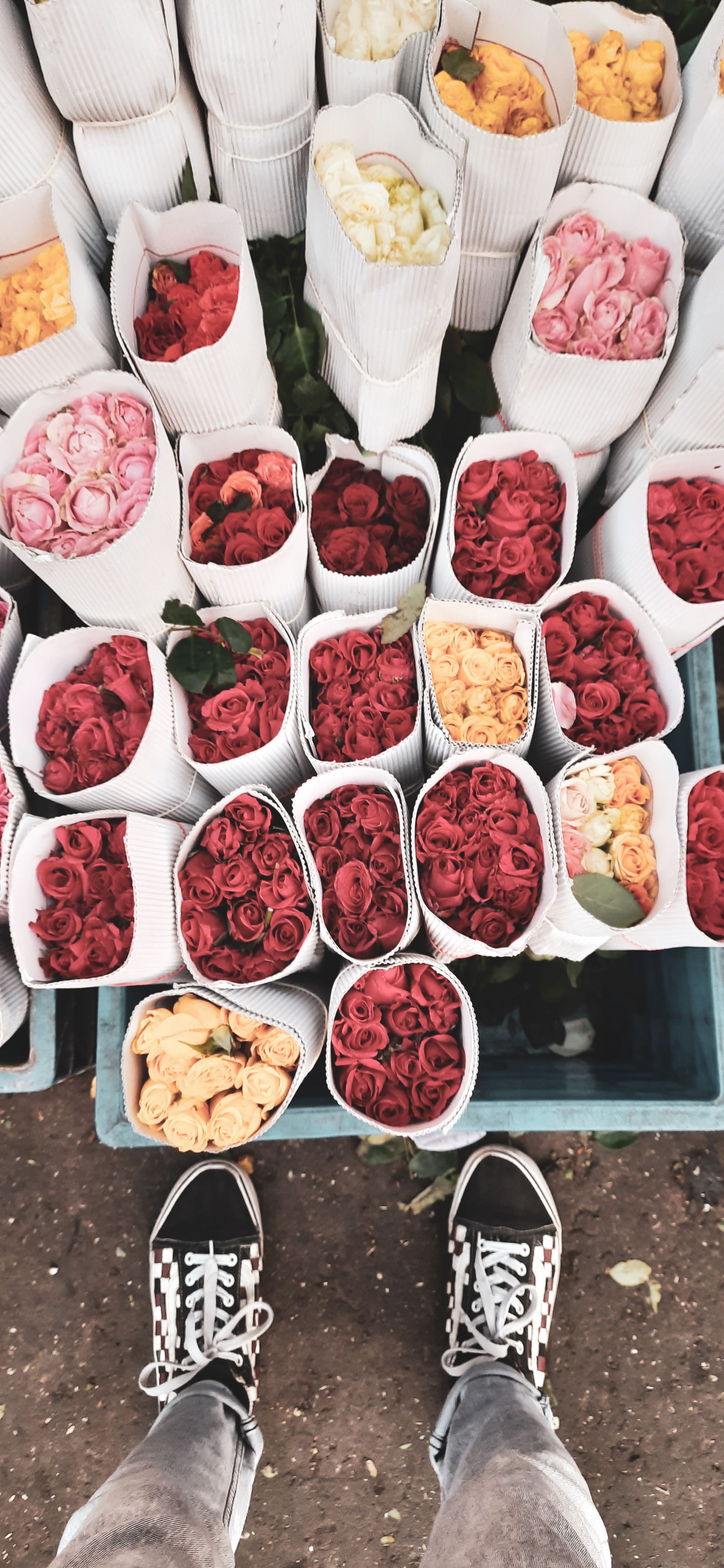 Fresh bouquets of flowers in market · Free Stock Photo