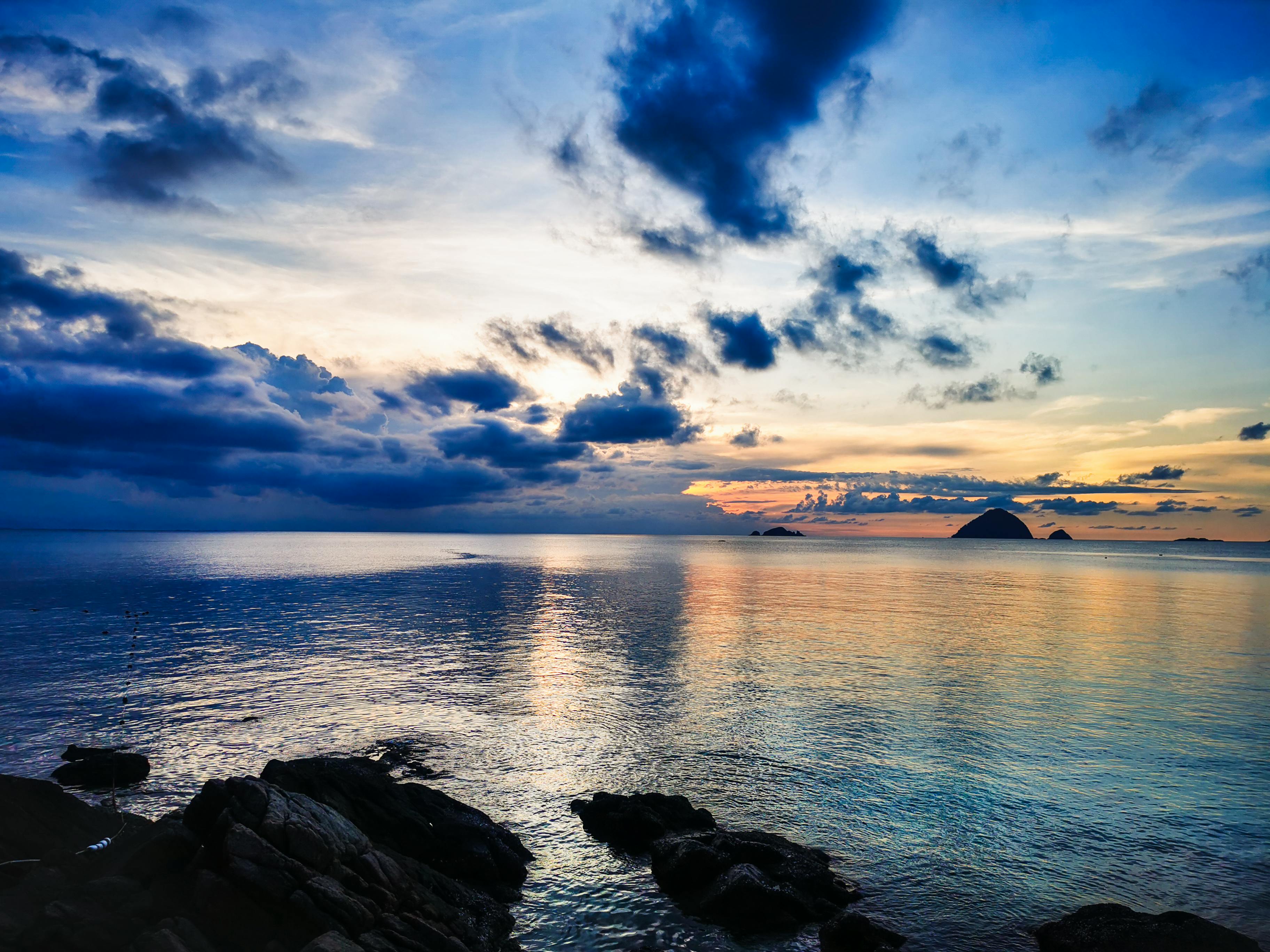 Amy Chandra - 写真