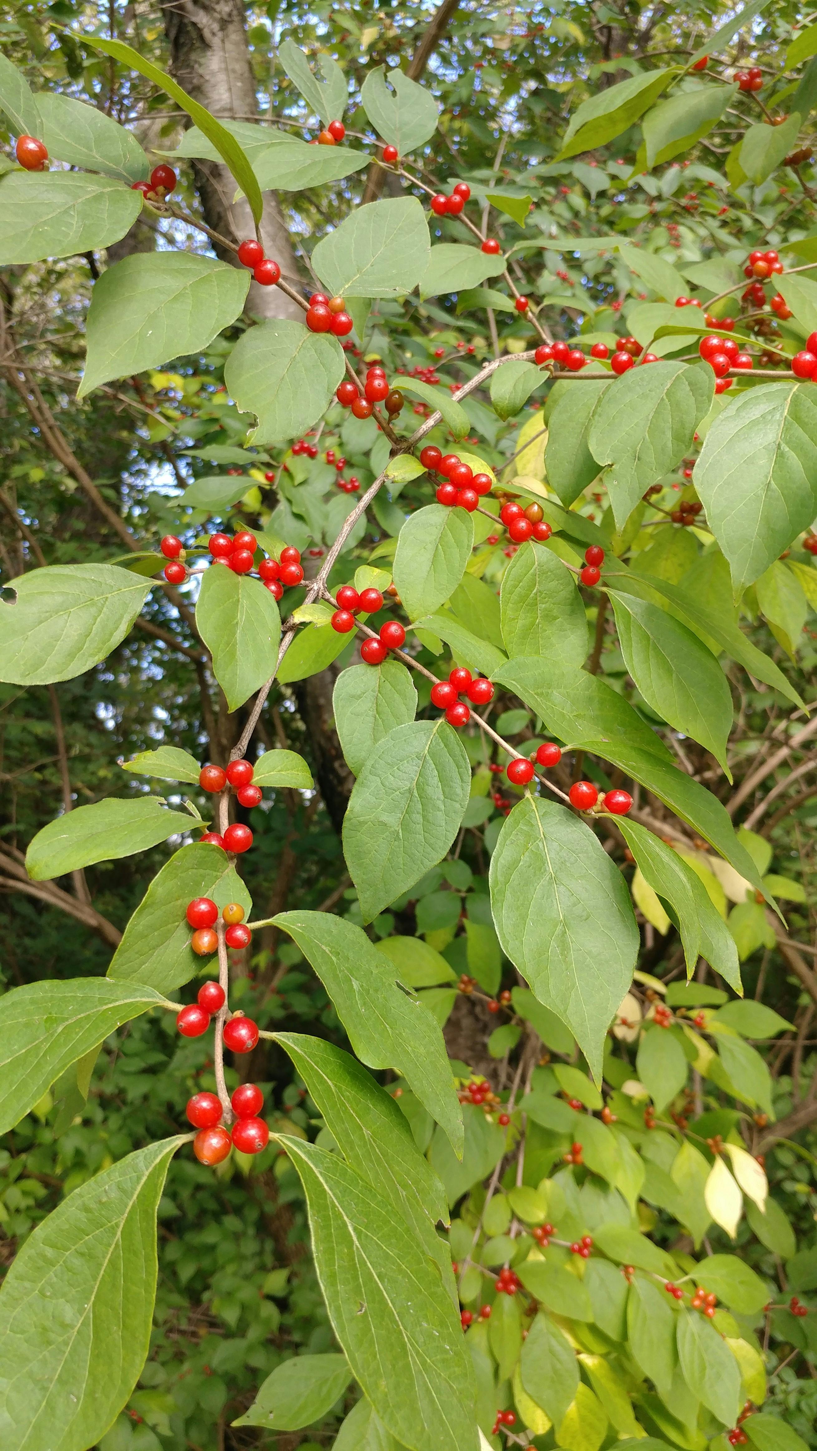 Free stock photo from emy - Stock Image - Everypixel