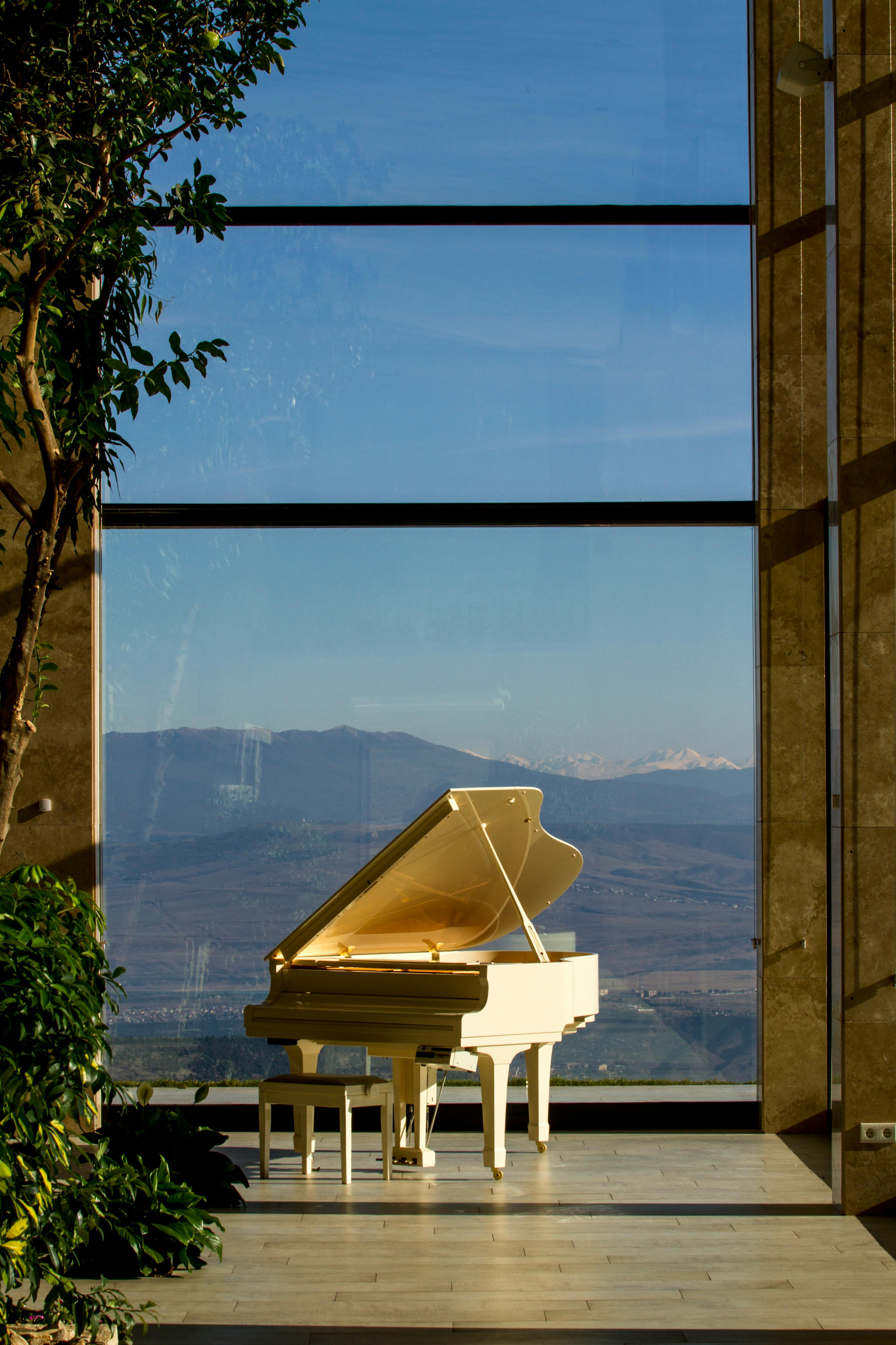 1,000+ Best Grand Piano Photos · 100% Free Download · Pexels Stock Photos