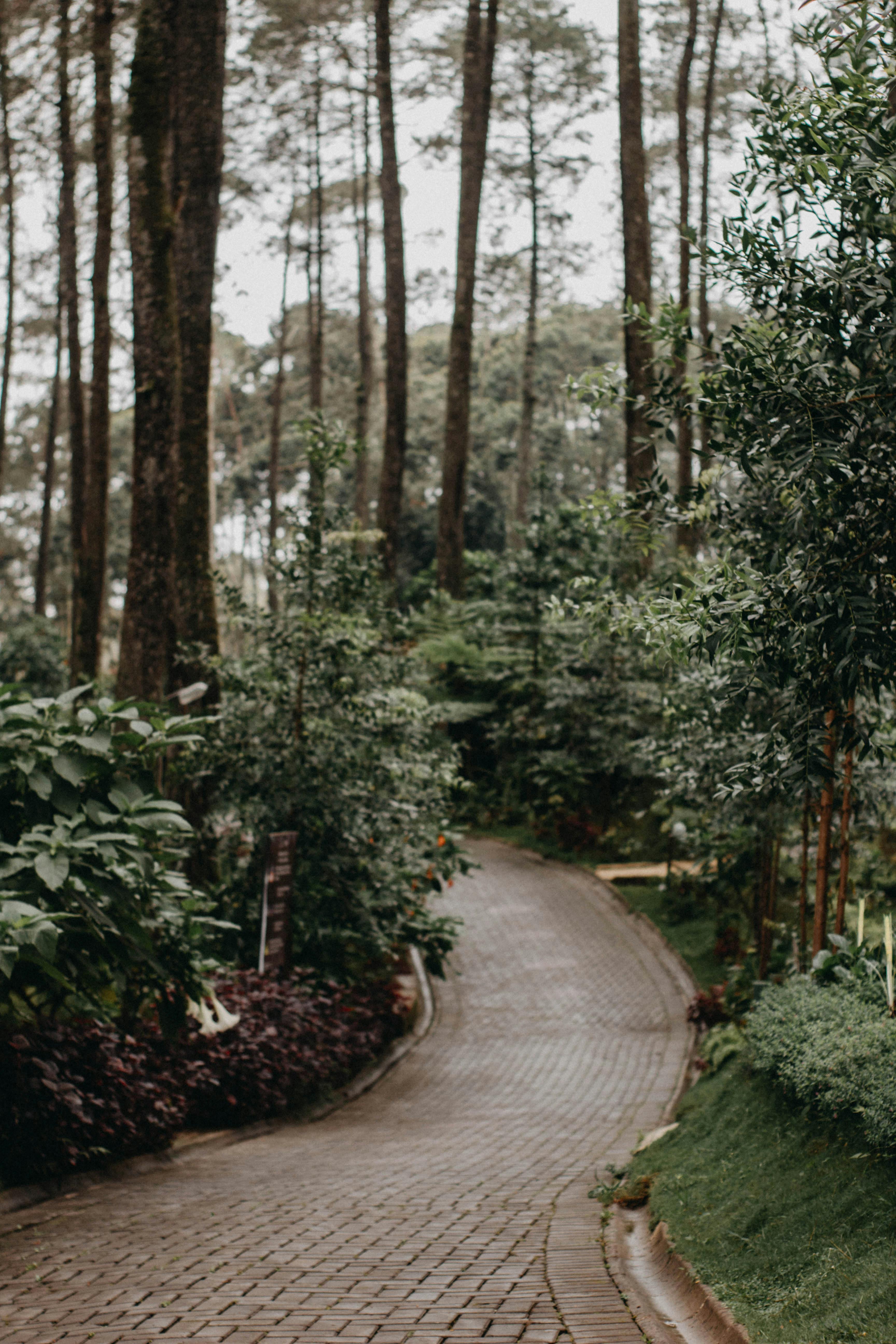 Paved Pathway with Steel Railing · Free Stock Photo